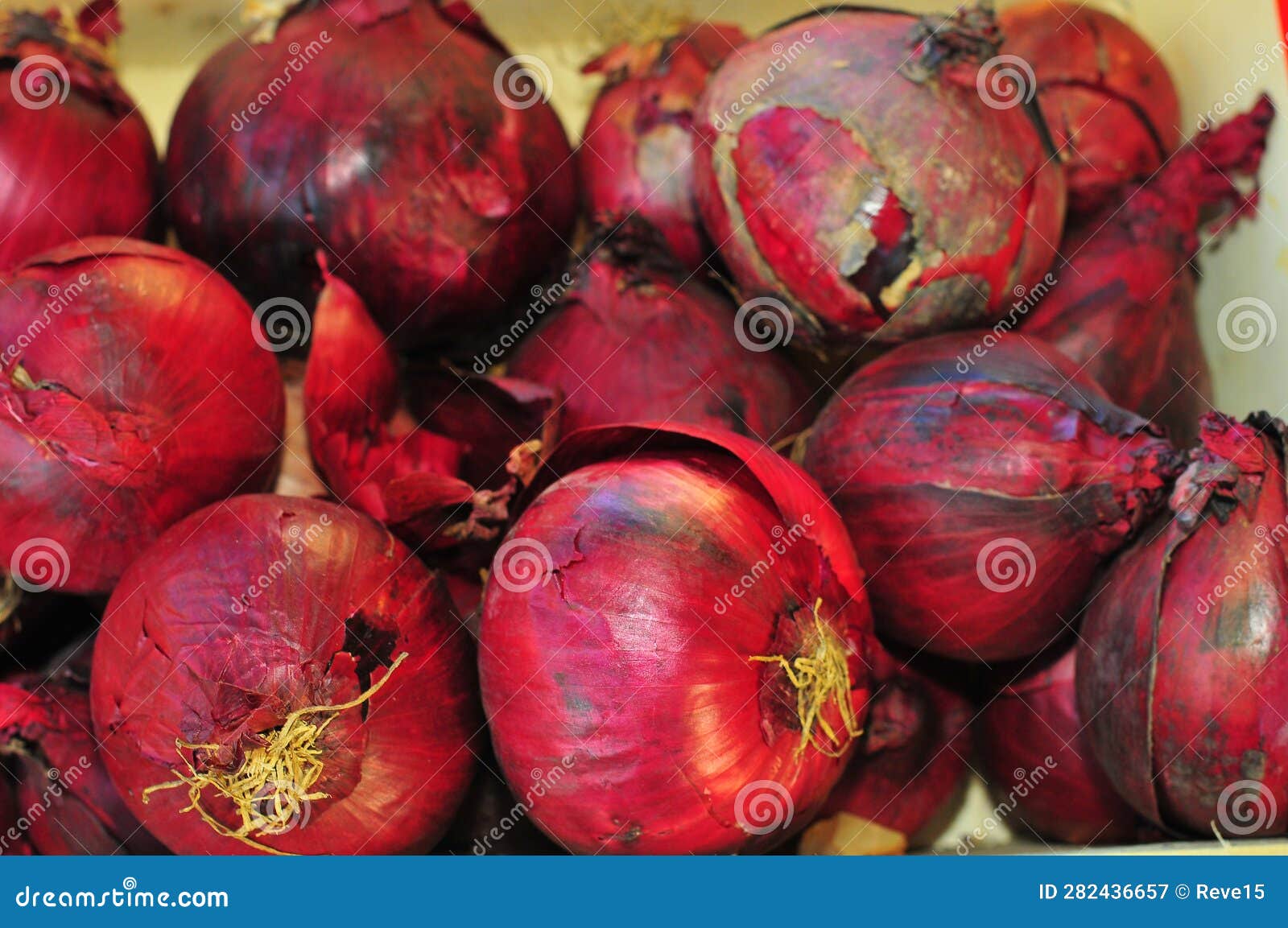 Box of, Local, Freshly Pulled, Ripe, Red Onions Stock Image - Image of ...