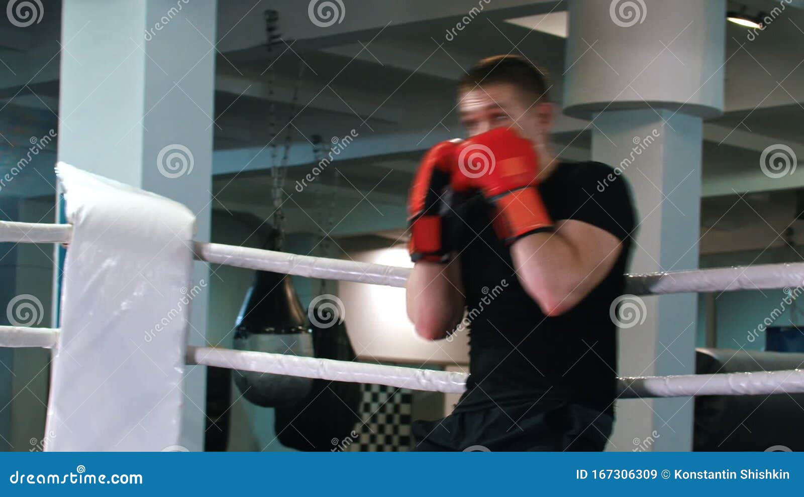 BOX - Man is Pushing Away from the Ring and Bowing with Shadow Stock ...