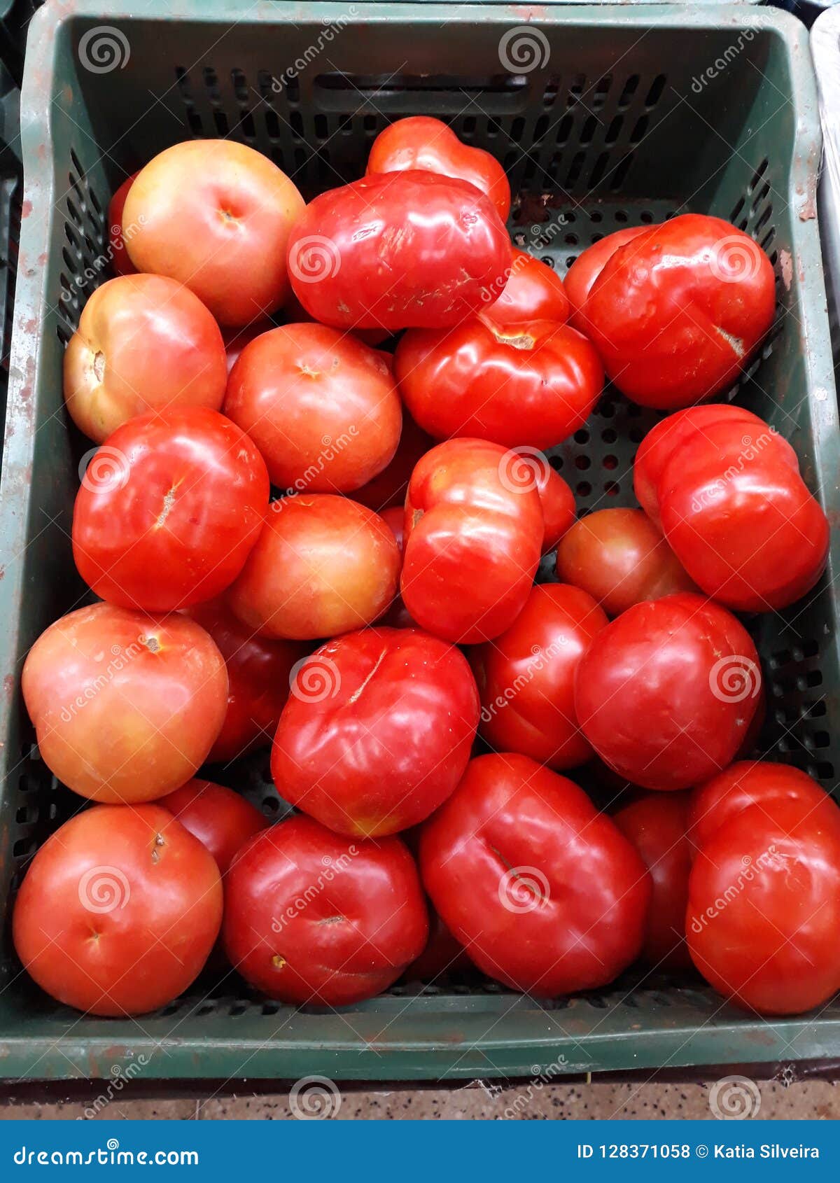 Very Red and Appetizing Tomatoes Stock Photo - Image of tomatoes ...