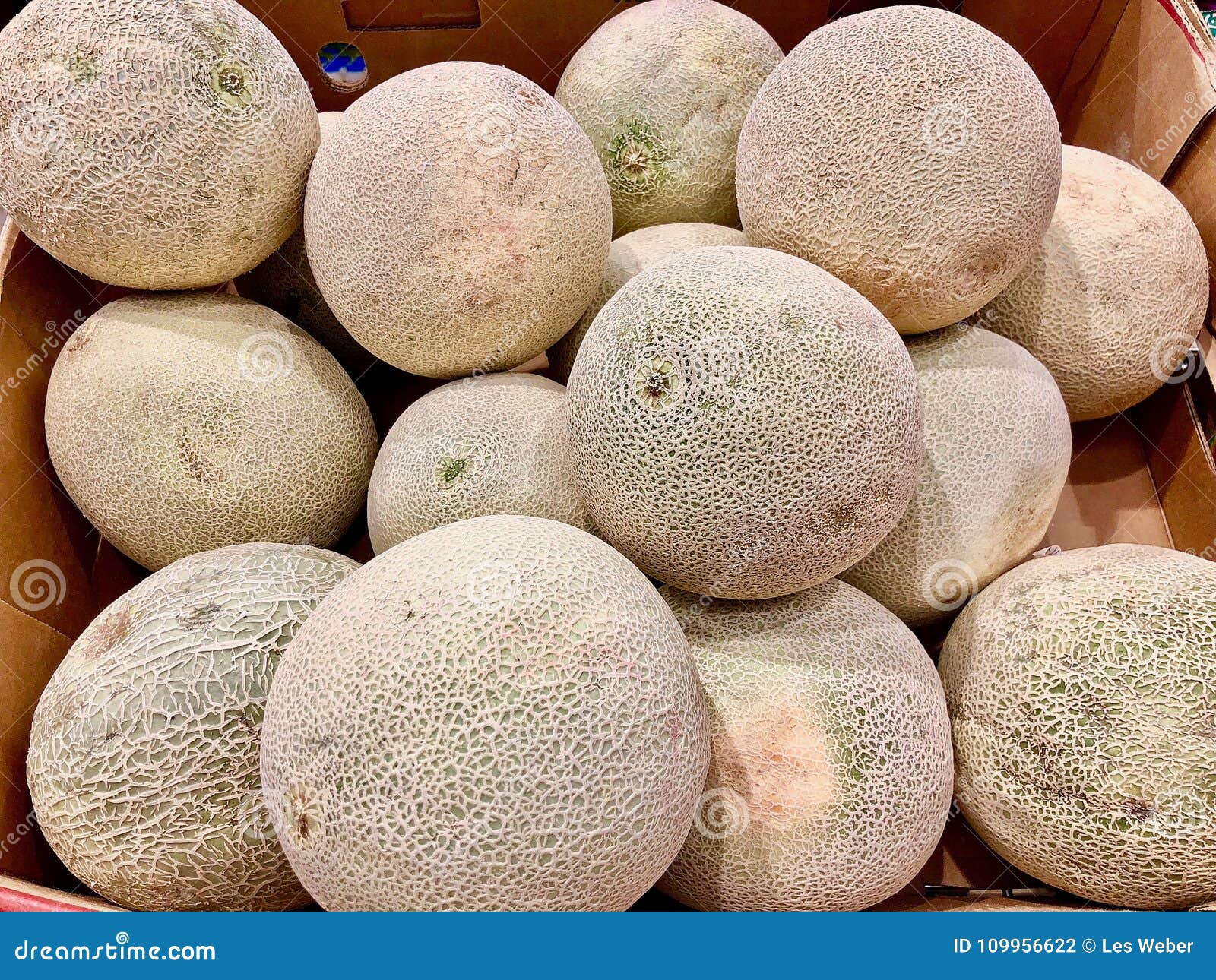 Box of Muskmelons stock photo. Image of produce, dessert - 109956622