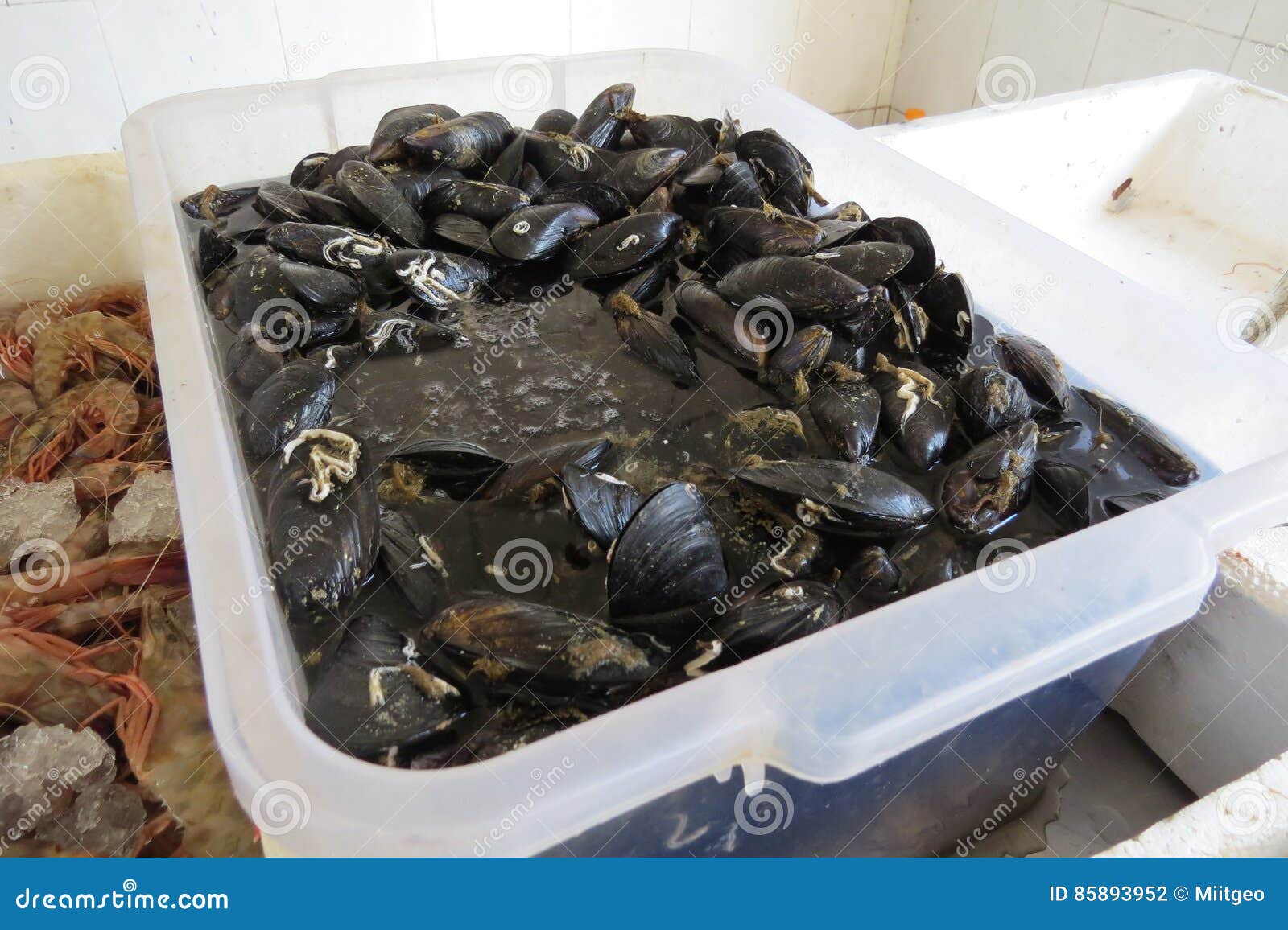 A box of mussels stock photo. Image of fishing, fish - 85893952
