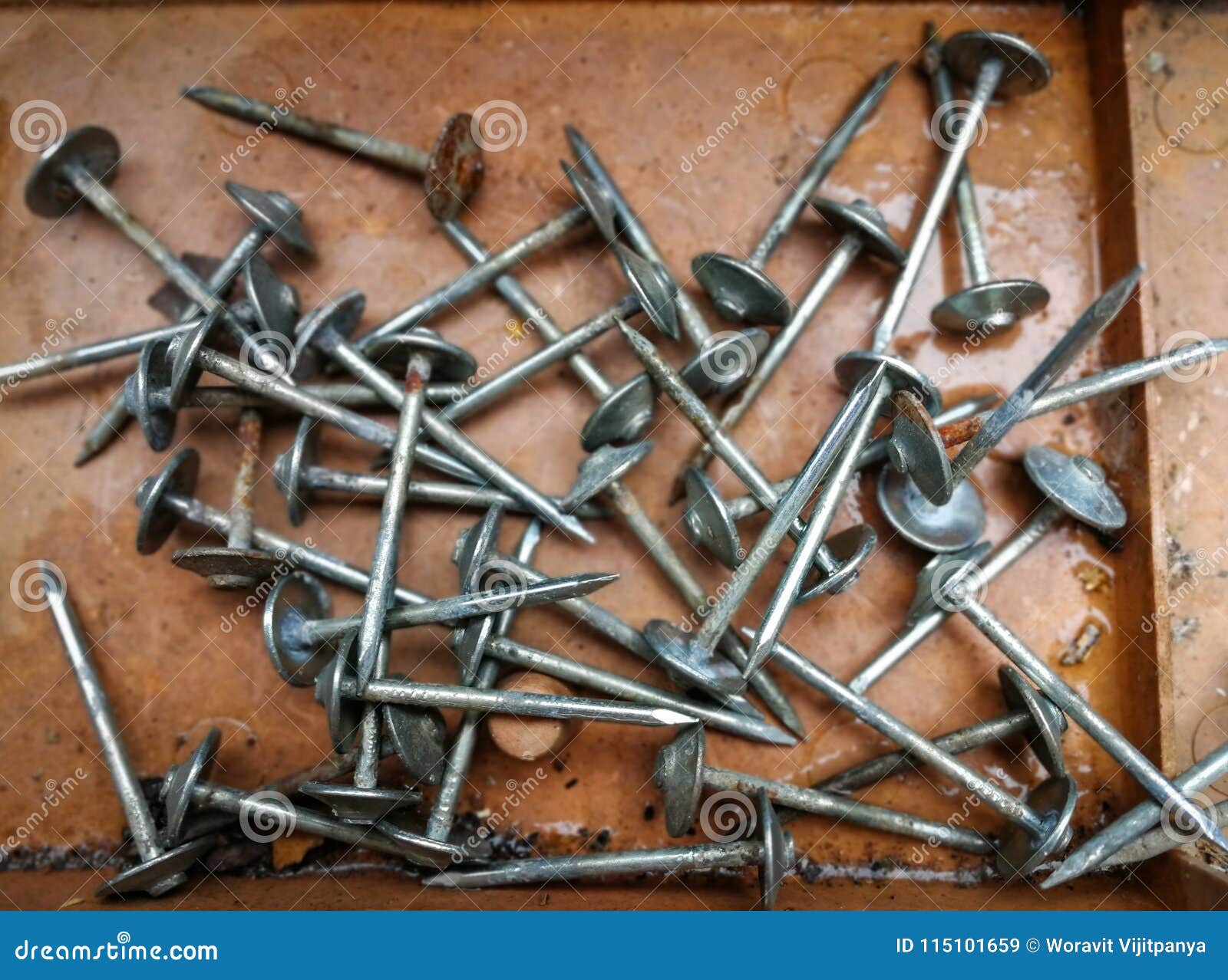 Box of nails stock image. Image of head, metal, spline - 115101659