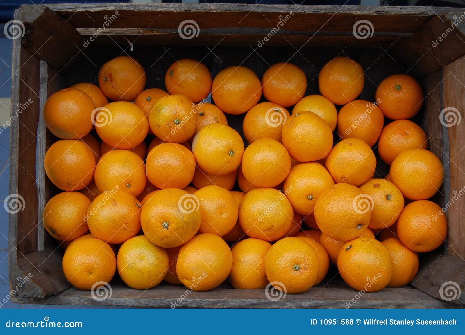 Box with Oranges stock photo. Image of bunch, cold, eating - 10951588