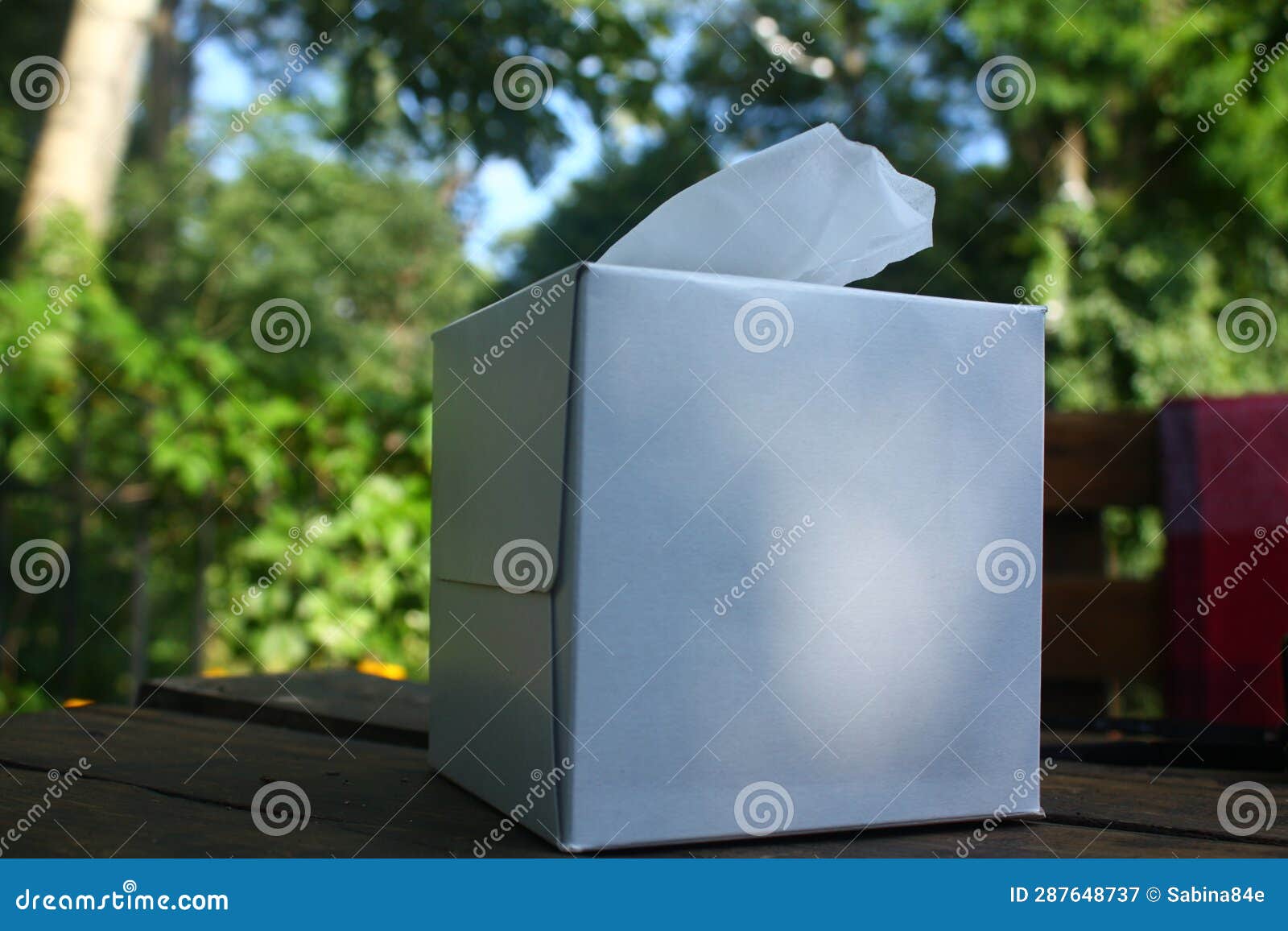 Box of Paper Napkins is on the Table Stock Image - Image of iron, sign ...