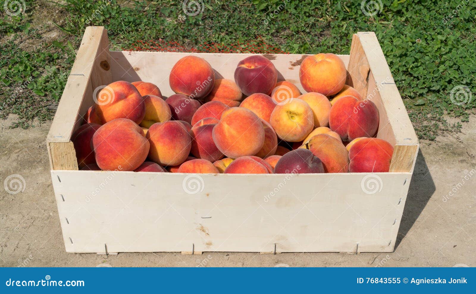 Box of peaches stock image. Image of closeup, crop, organic - 76843555