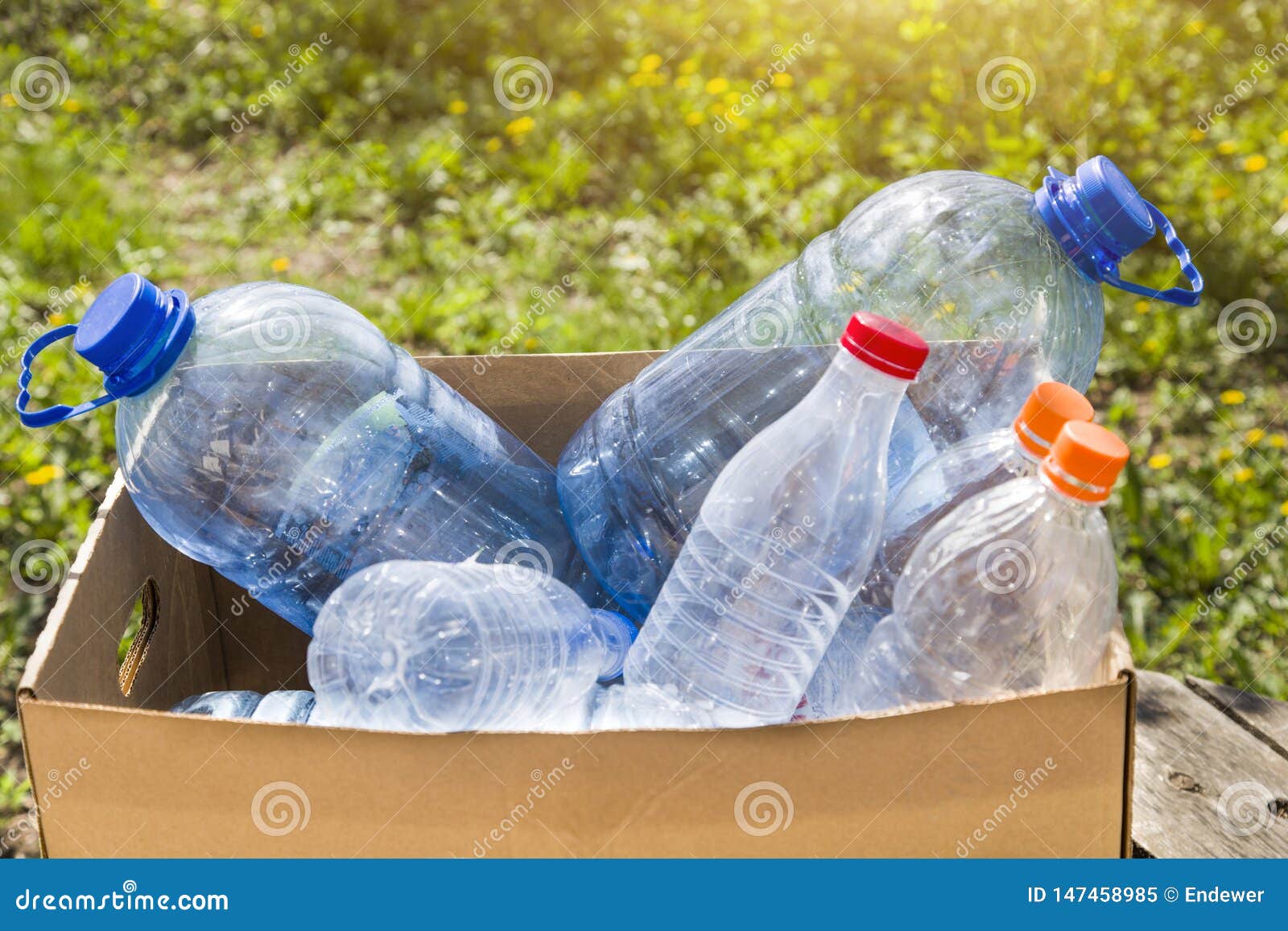 Box with Plastic Bottles. Recycling of Garbage, Microplastic and ...