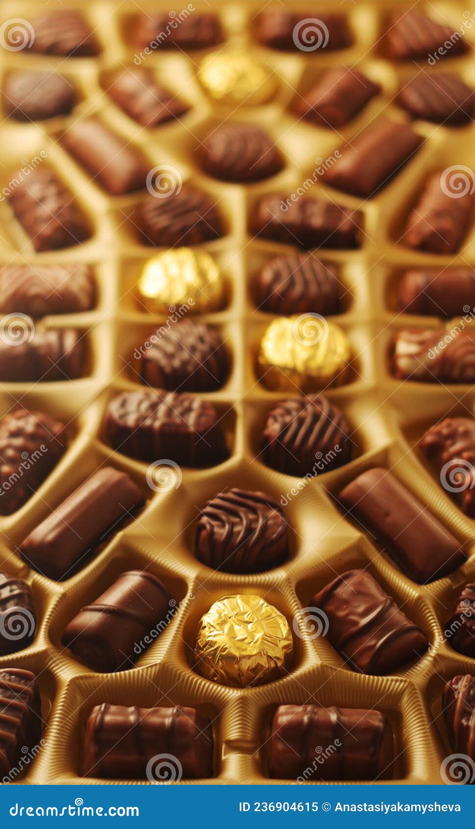 A Box with Praline Chocolates Stock Image - Image of dessert, chocolate ...