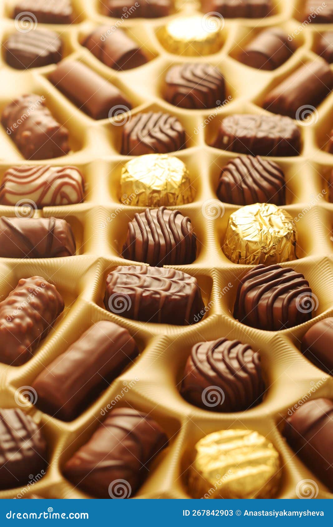A Box with Praline Chocolates Stock Image - Image of chocolate, gourmet ...