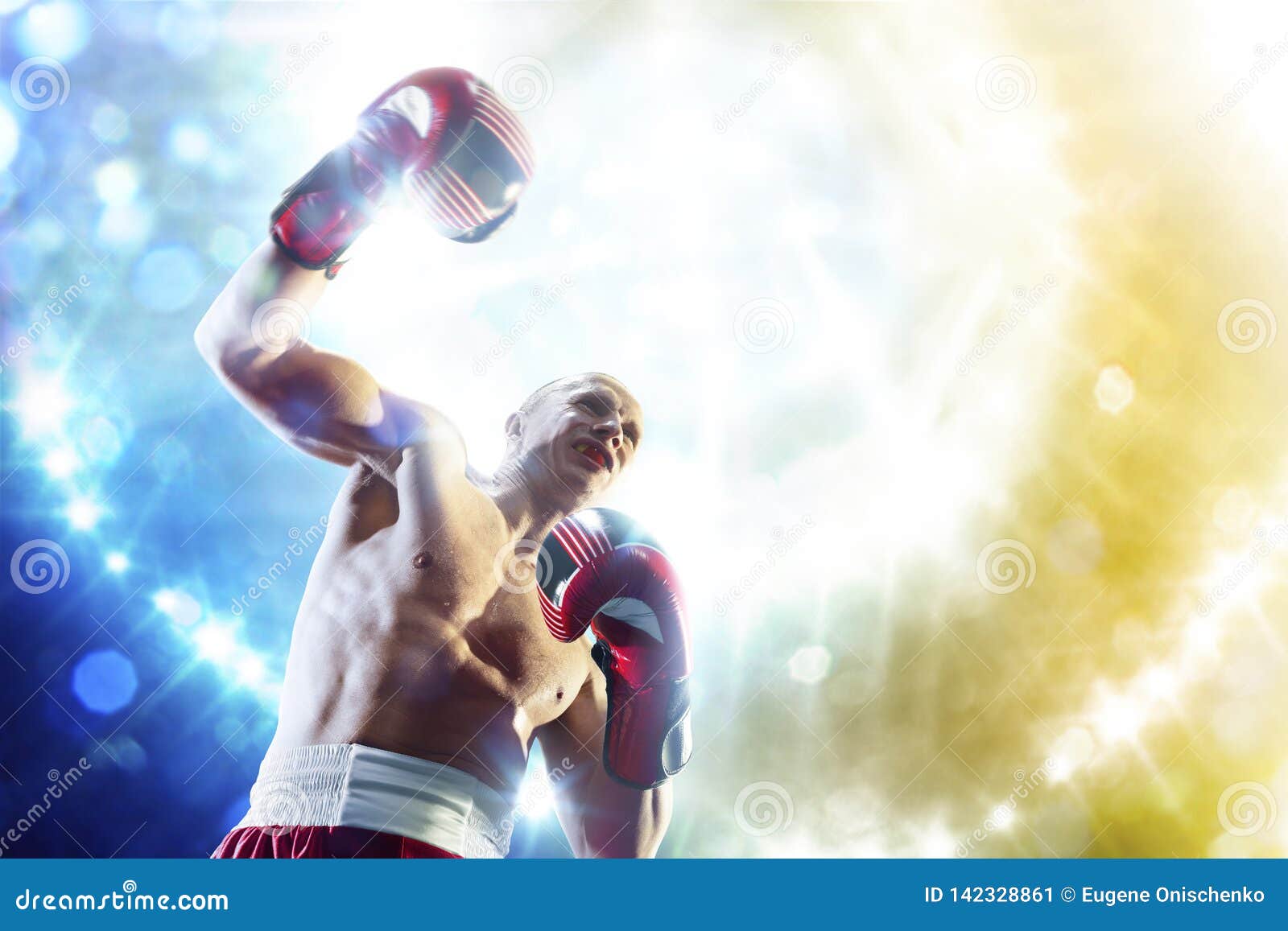 Box Professional Figter on the Ring in Lights Stock Image - Image of ...