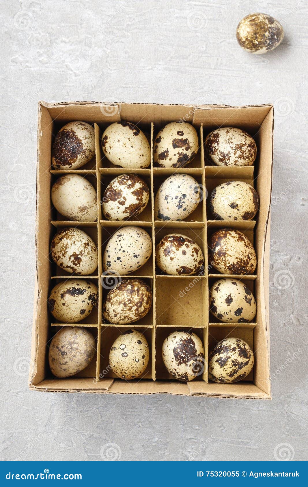 Box of quail eggs stock image. Image of full, details - 75320055