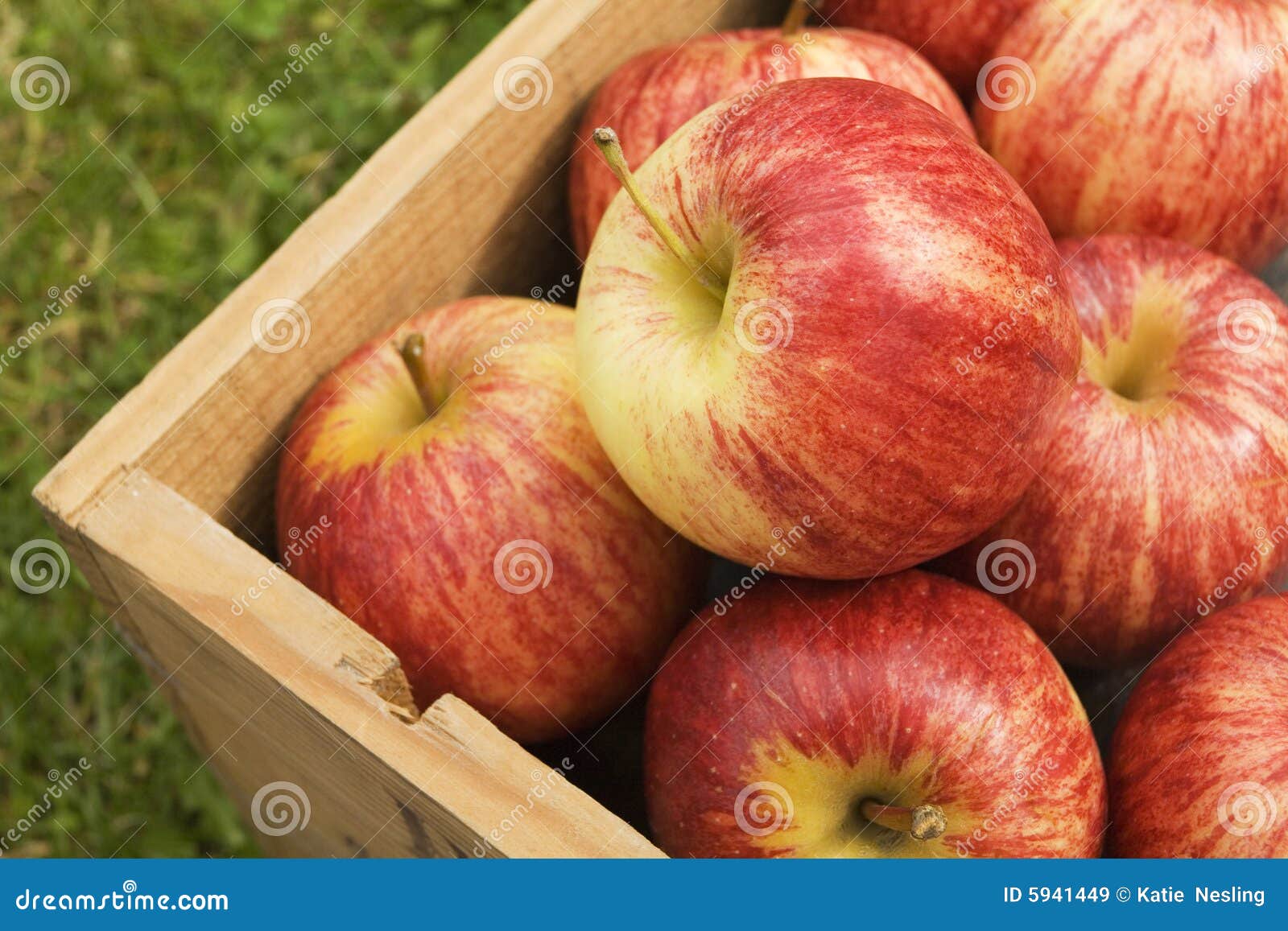 Box of red apples stock image. Image of horizontal, delicious - 5941449