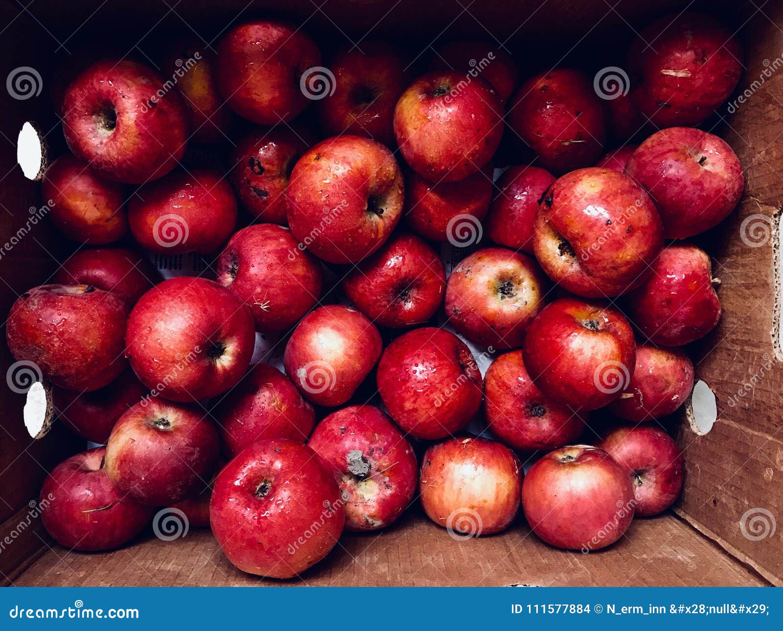 A box of red apples stock photo. Image of organic, fresh - 111577884