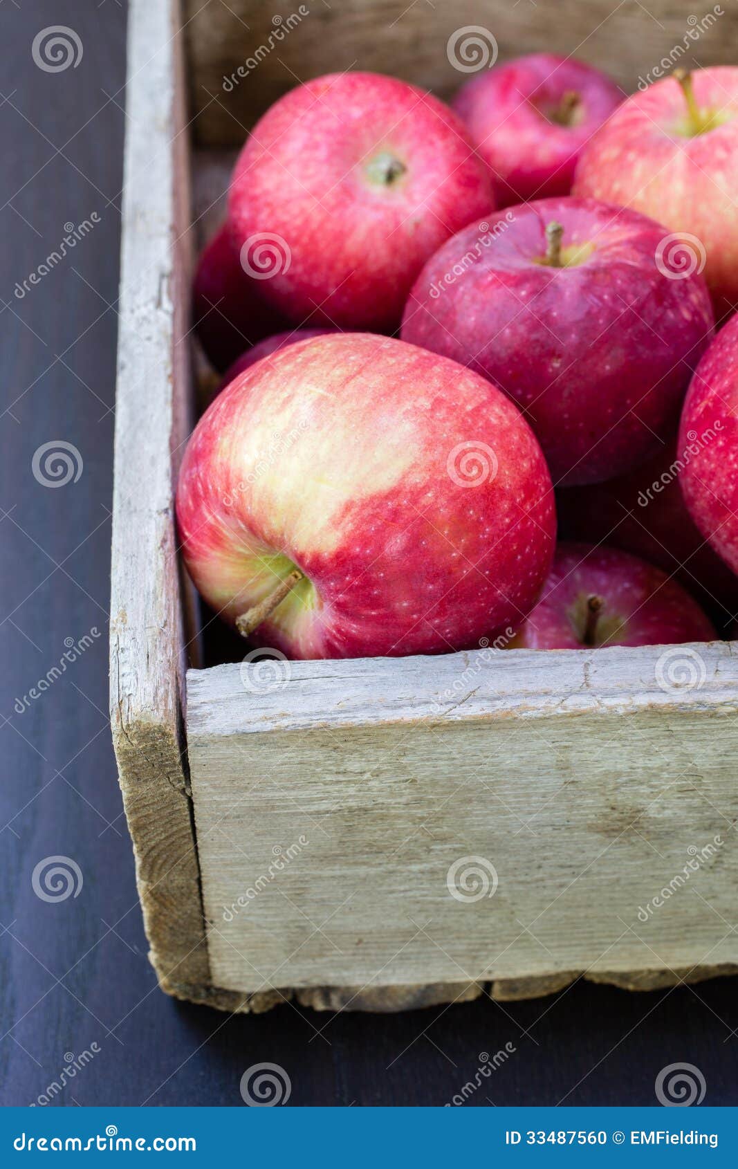 Box of Red Apples stock photo. Image of farming, agriculture - 33487560