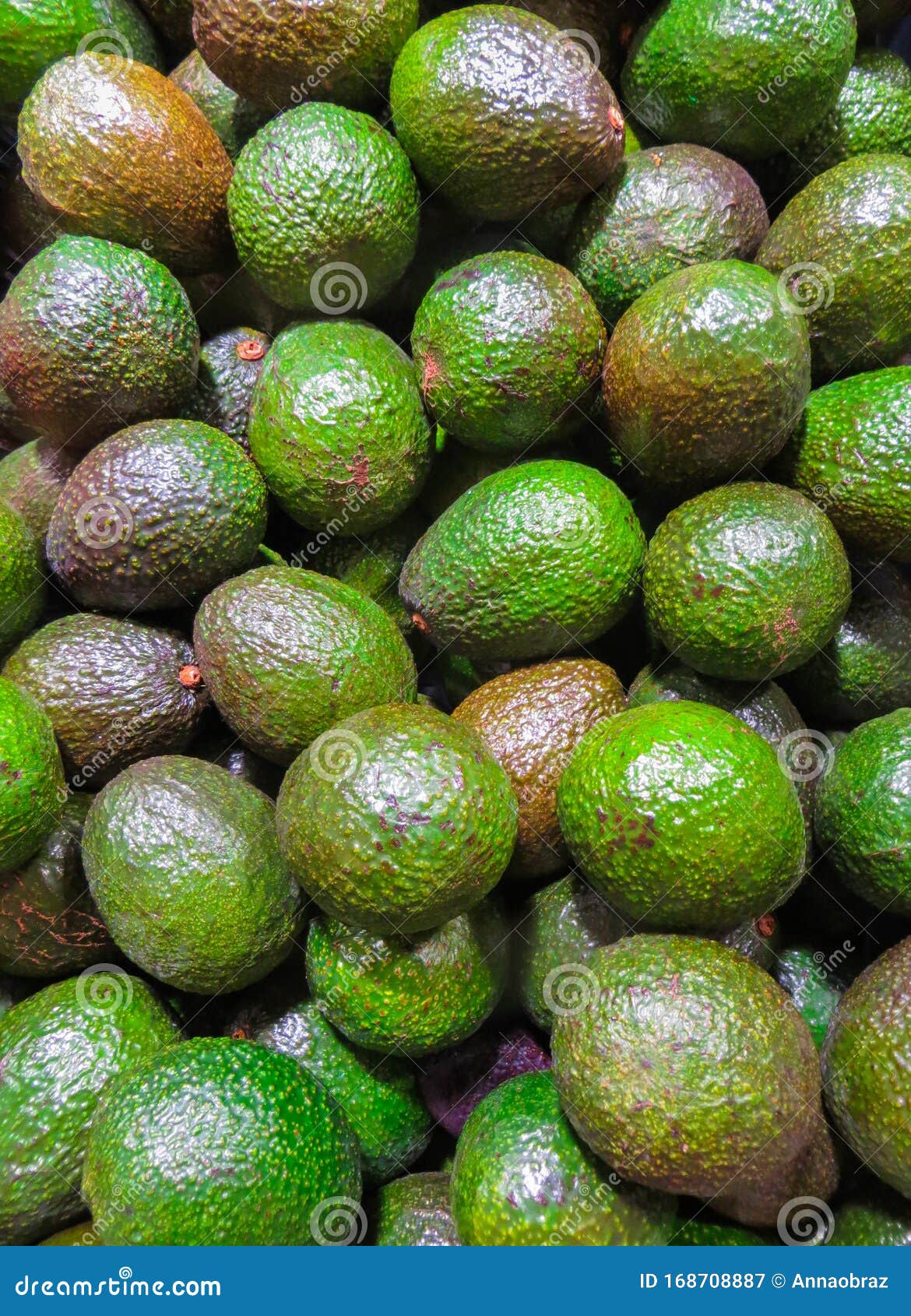 Box of Ripe Avocado Fruit on the Shelf in the Store Stock Image - Image ...