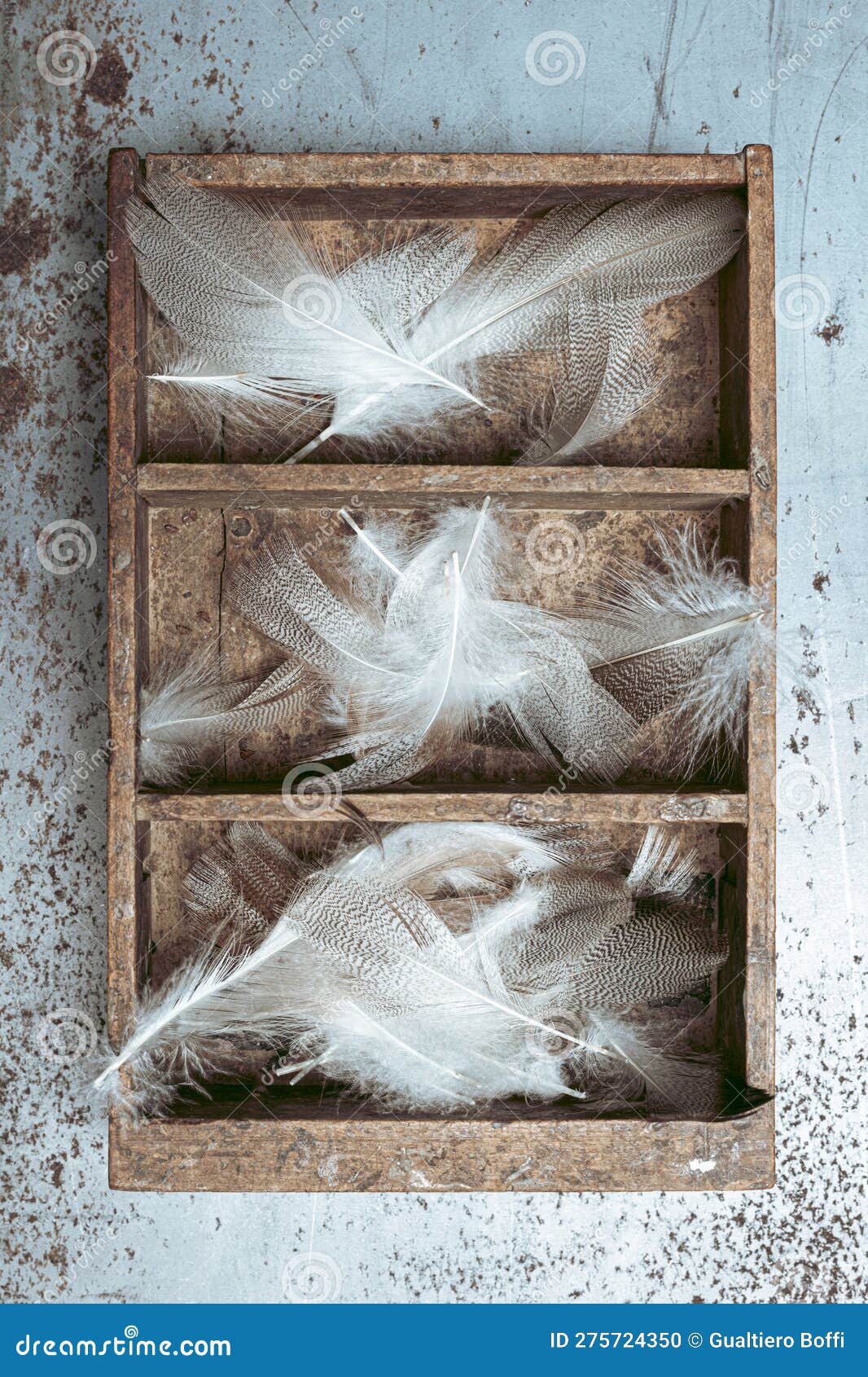 Box with Shelves and White Feathers Stock Photo - Image of concept ...