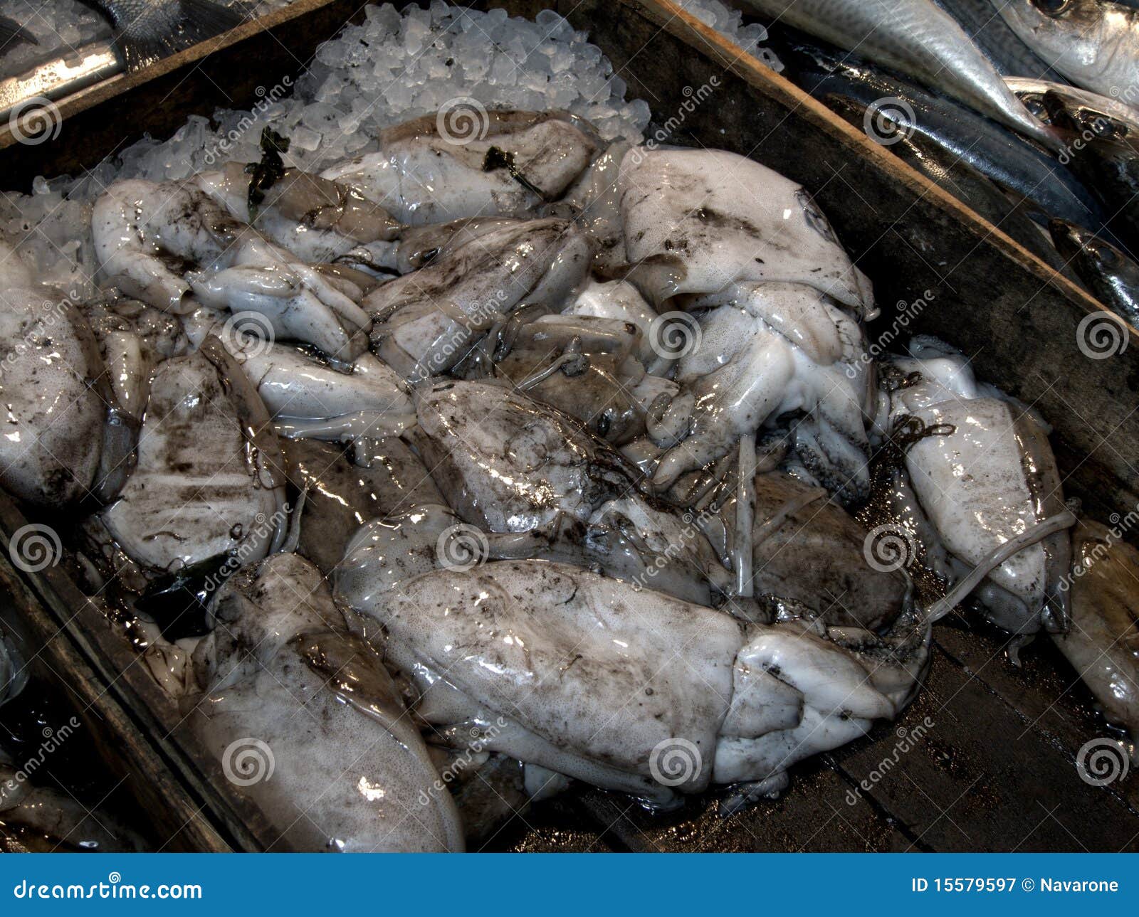 Box of squid stock image. Image of healthy, pile, temperature - 15579597