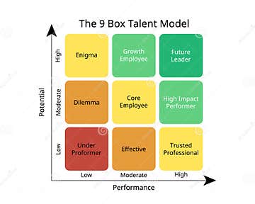 The 9 Box Talent Model or the 9-box Grid is a Tool Used To Analyze ...