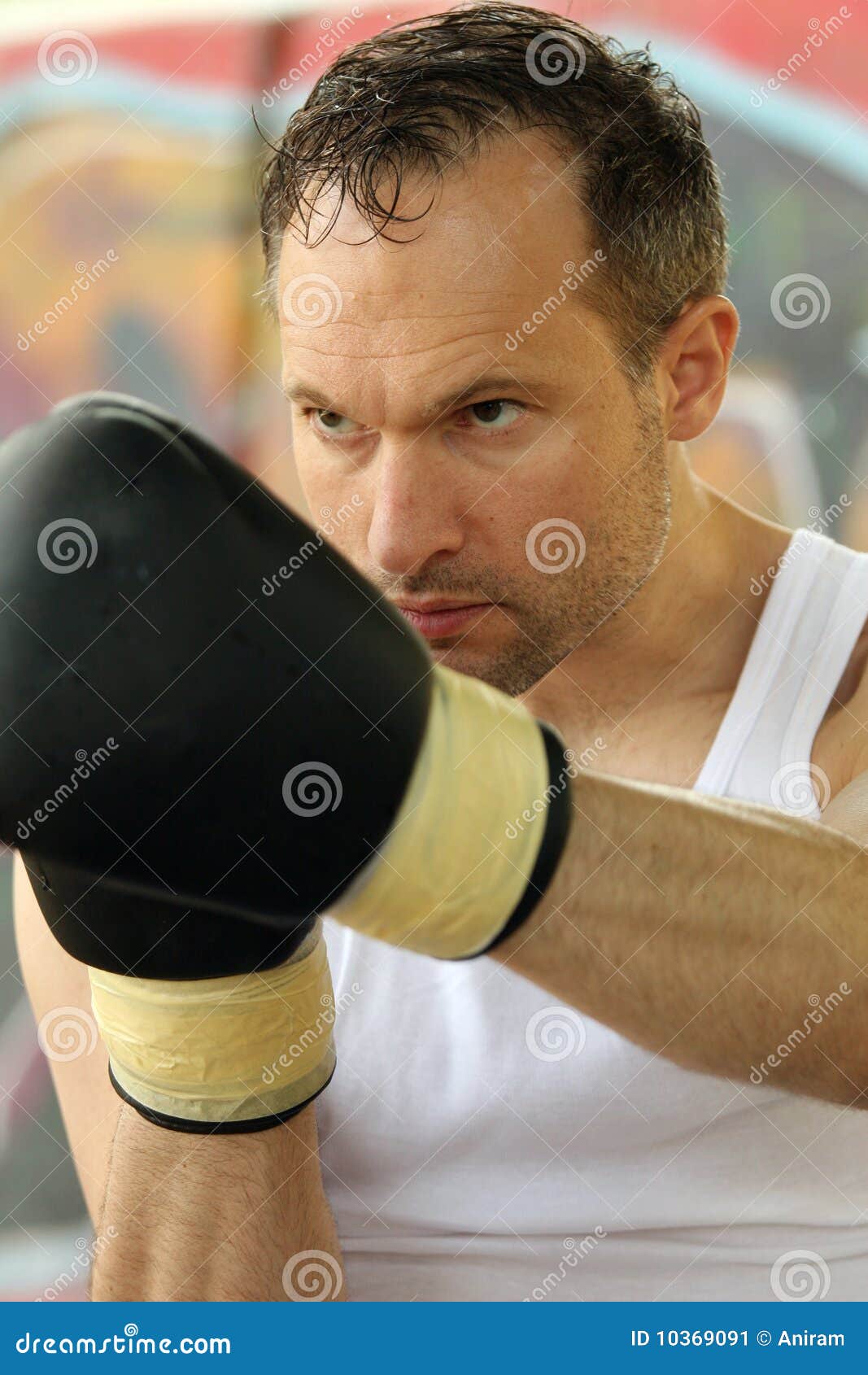 Box training stock image. Image of training, slug, male - 10369091