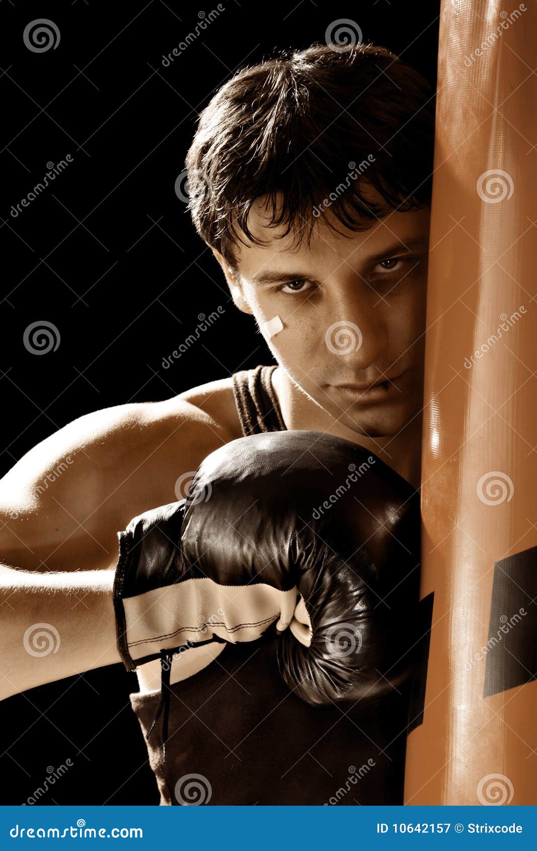 Boxeador imagen de archivo. Imagen de hombre, retrato - 10642157