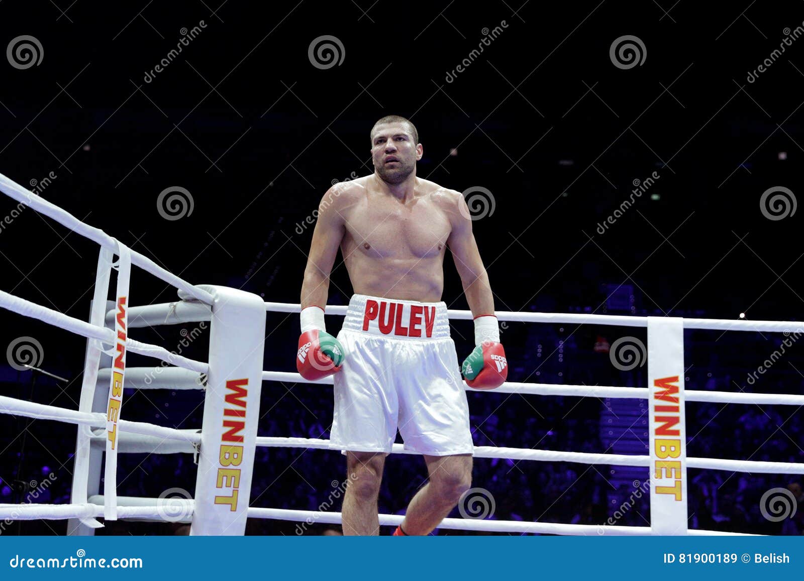 Boxeador de Tervel Pulev imagen de archivo editorial. Imagen de ...