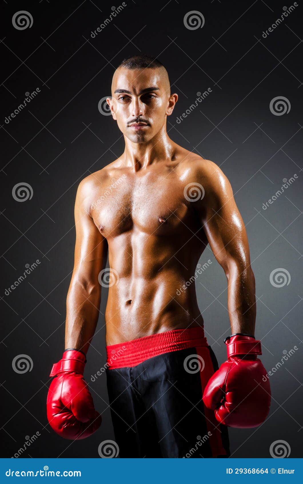 Boxeador muscular foto de archivo. Imagen de boxeo, negocios - 29368664