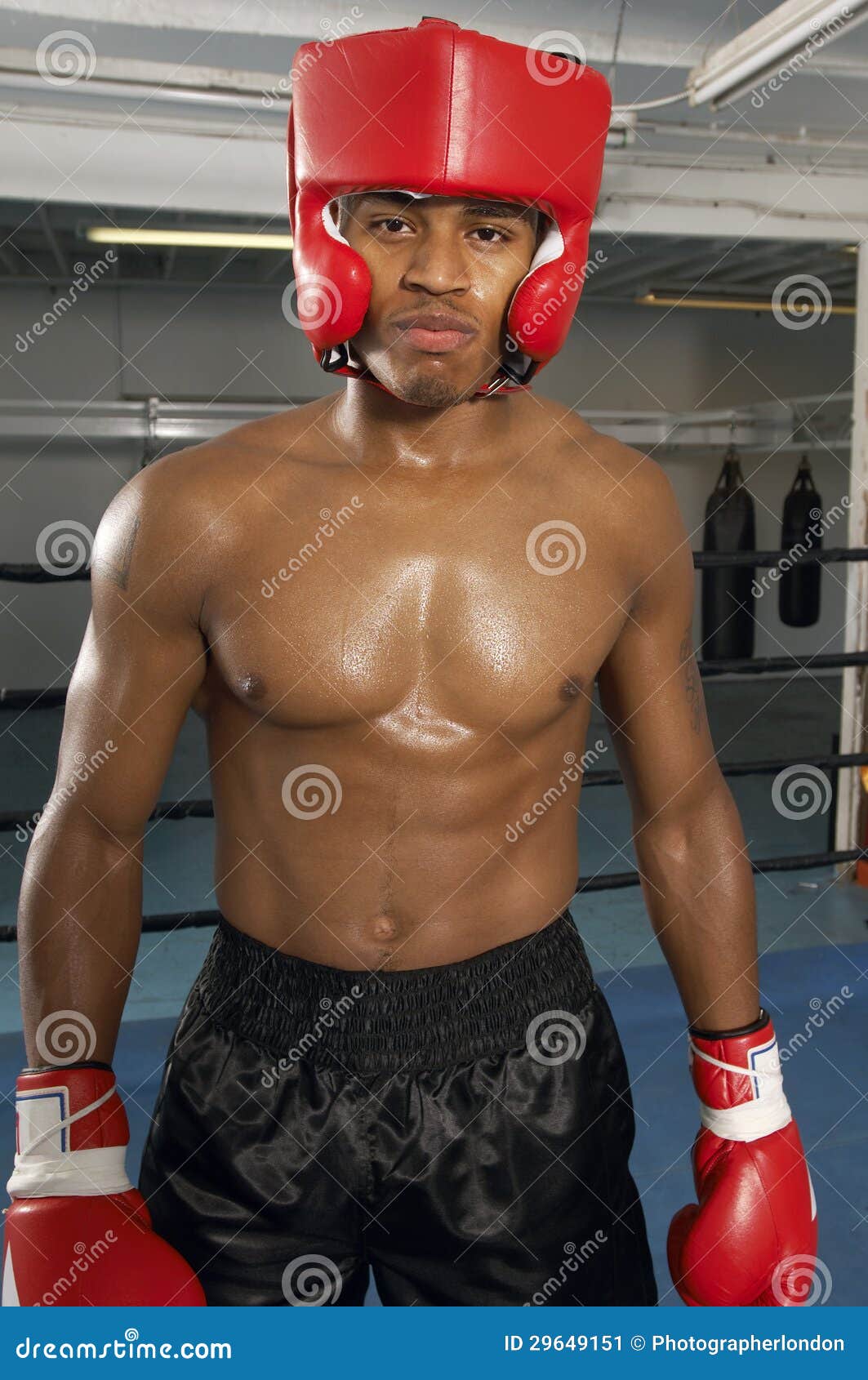 Boxeador Profesional En El Gimnasio Imagen de archivo - Imagen de ...