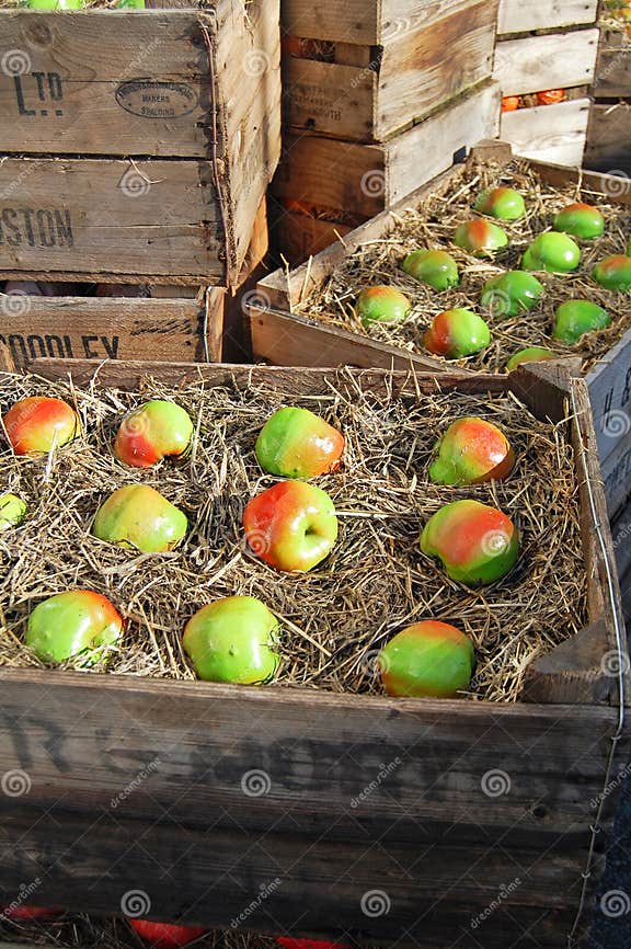 Boxed apples stock image. Image of outdoor, rustic, crate - 18316167