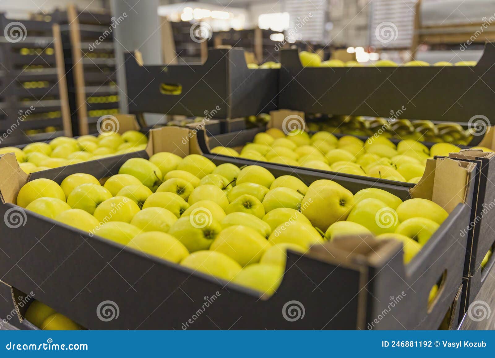 Boxed Yellow Apples Close-up Stock Photo - Image of green, diet: 246881192