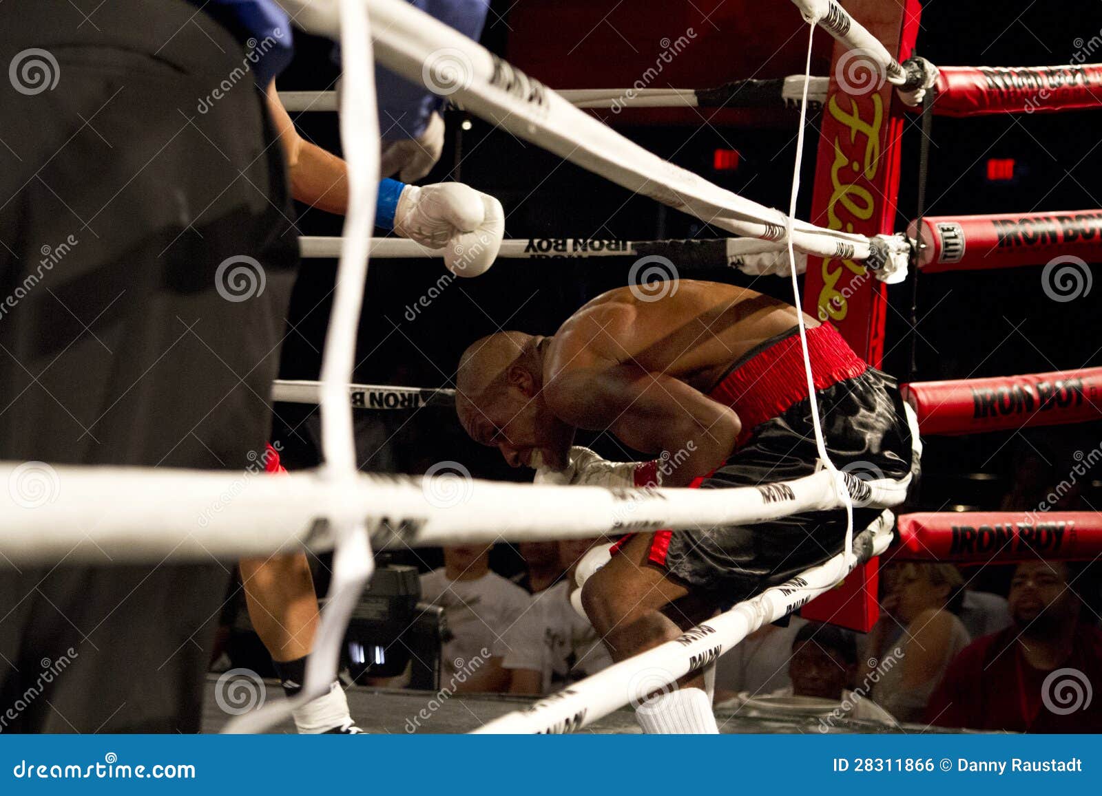 Boxeo Aficionado Y Profesional Foto editorial - Imagen de celebridad ...