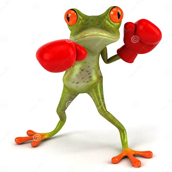 Boxeo de la rana stock de ilustración. Ilustración de bosque - 11679153