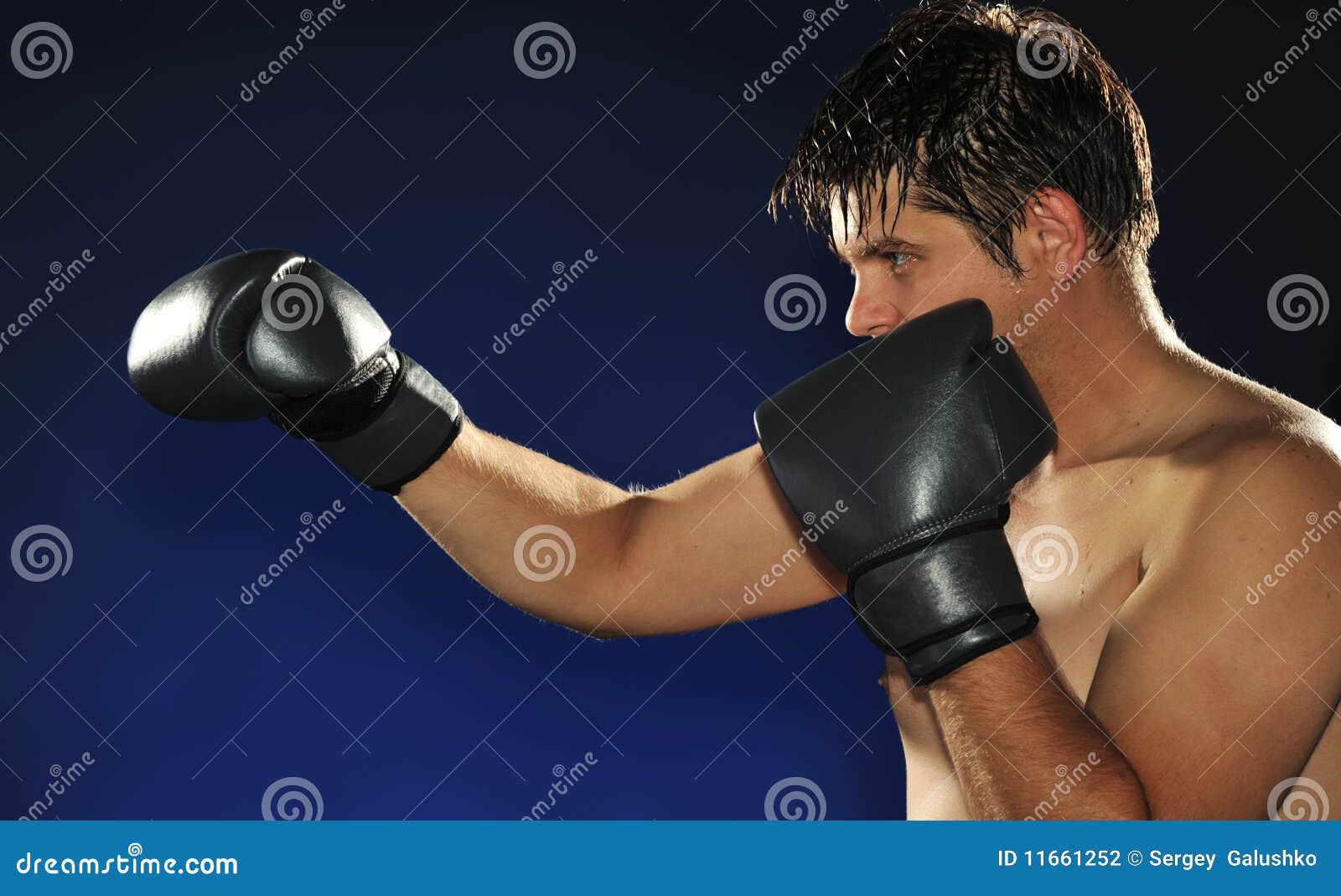 The boxer stock photo. Image of conflict, competition - 11661252
