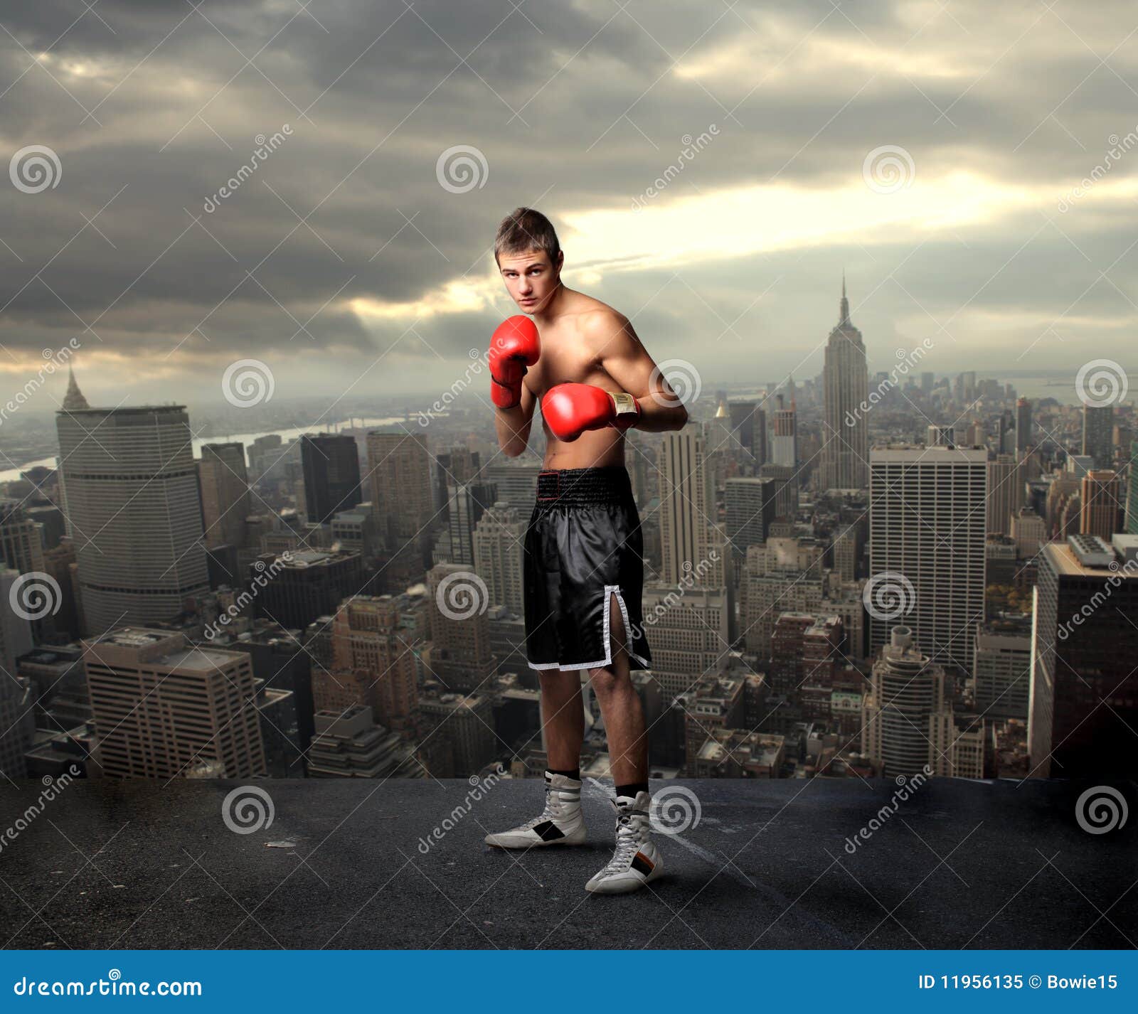 Boxer stock image. Image of landmark, states, boxing - 11956135