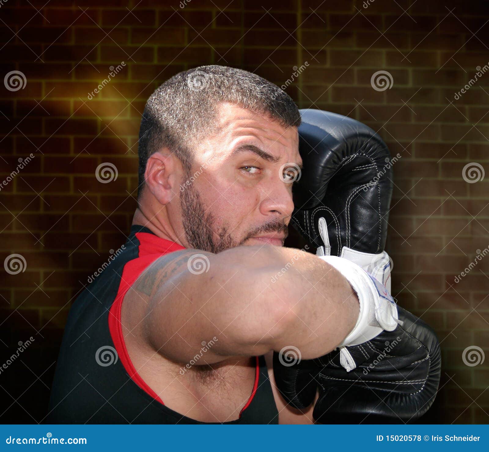 The boxer stock photo. Image of wall, combat, person - 15020578