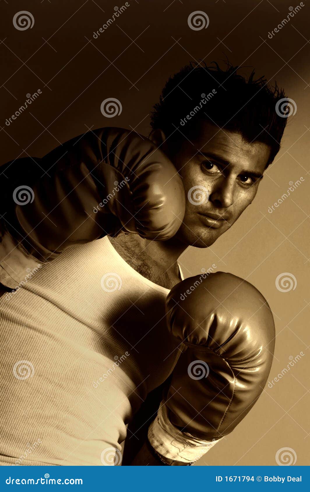 The Boxer stock photo. Image of spike, fighting, prepare - 1671794
