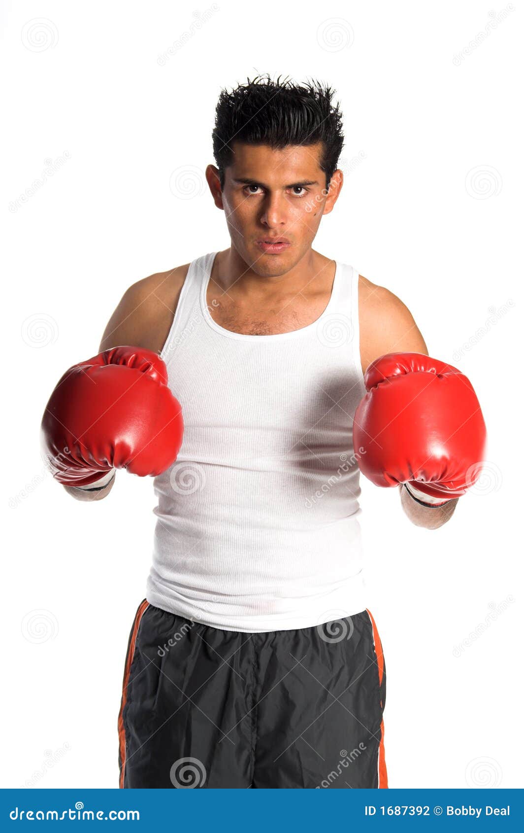 Boxer stock photo. Image of latin, adult, male, young - 1687392