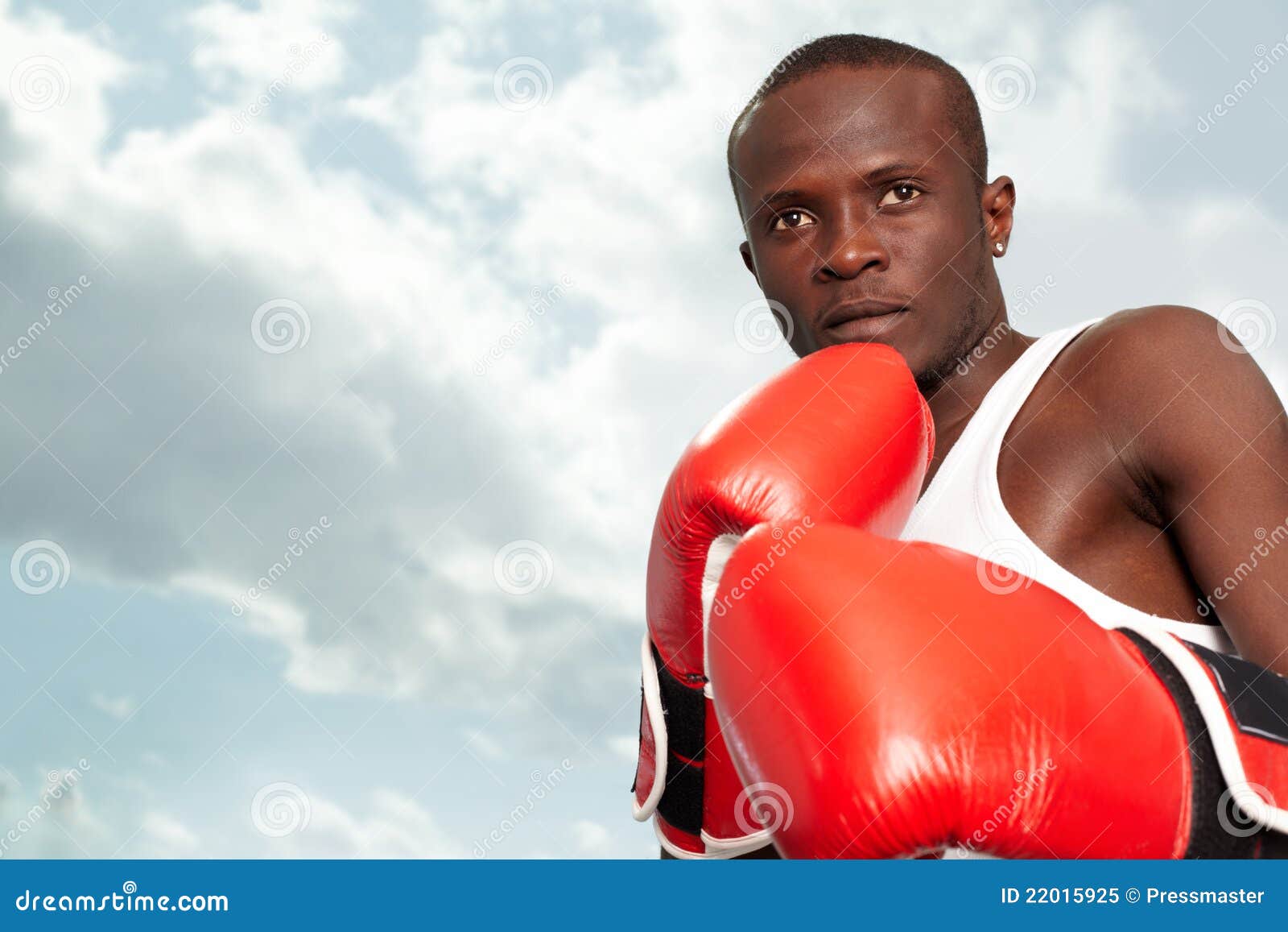 Boxer stock image. Image of power, concentration, active - 22015925