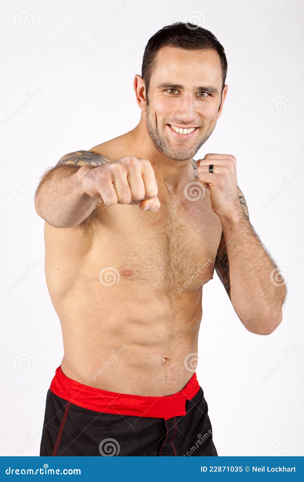 Boxer stock image. Image of athlete, boxing, healthy - 22871035