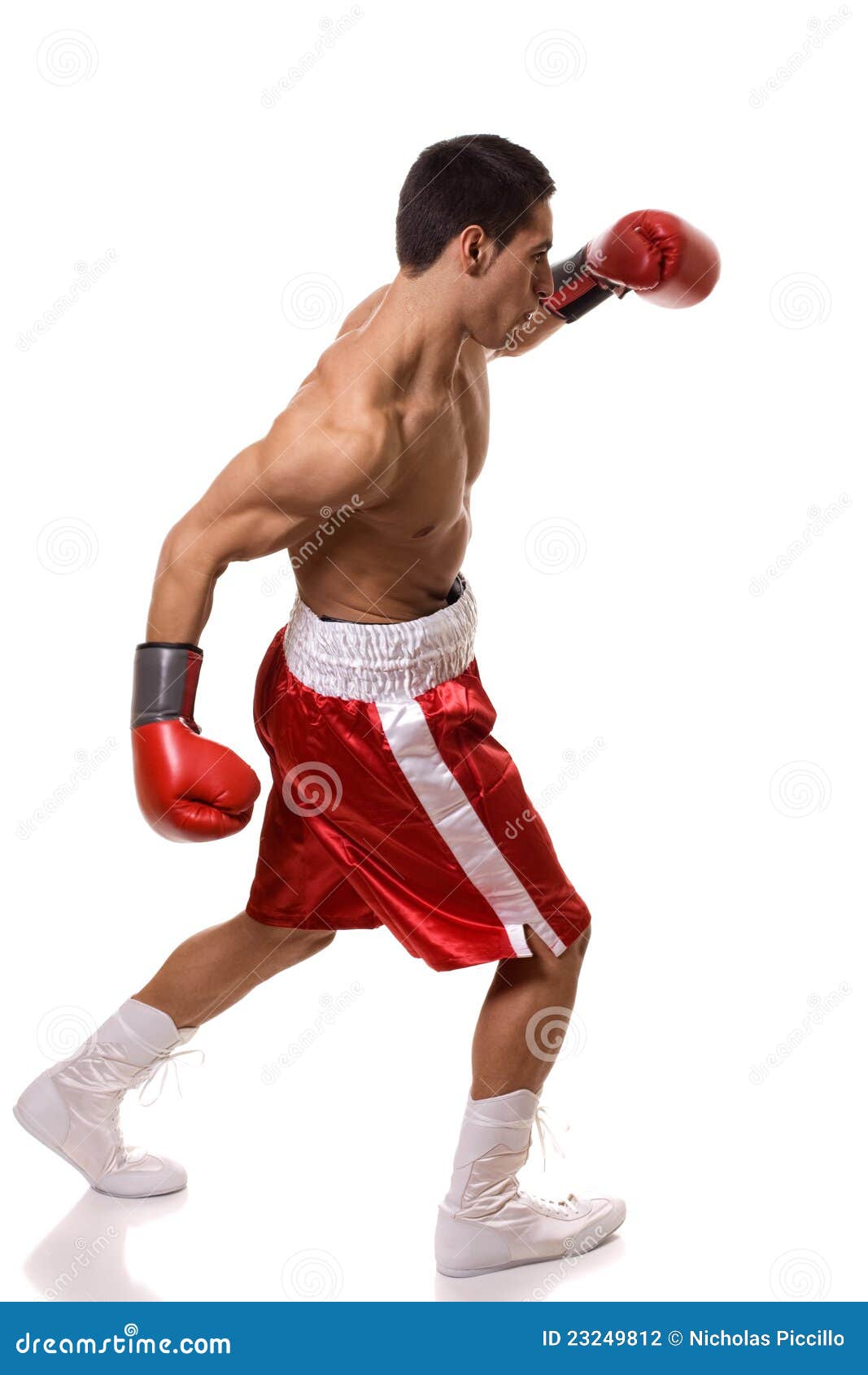Boxer stock photo. Image of male, caucasian, young, muscle - 23249812