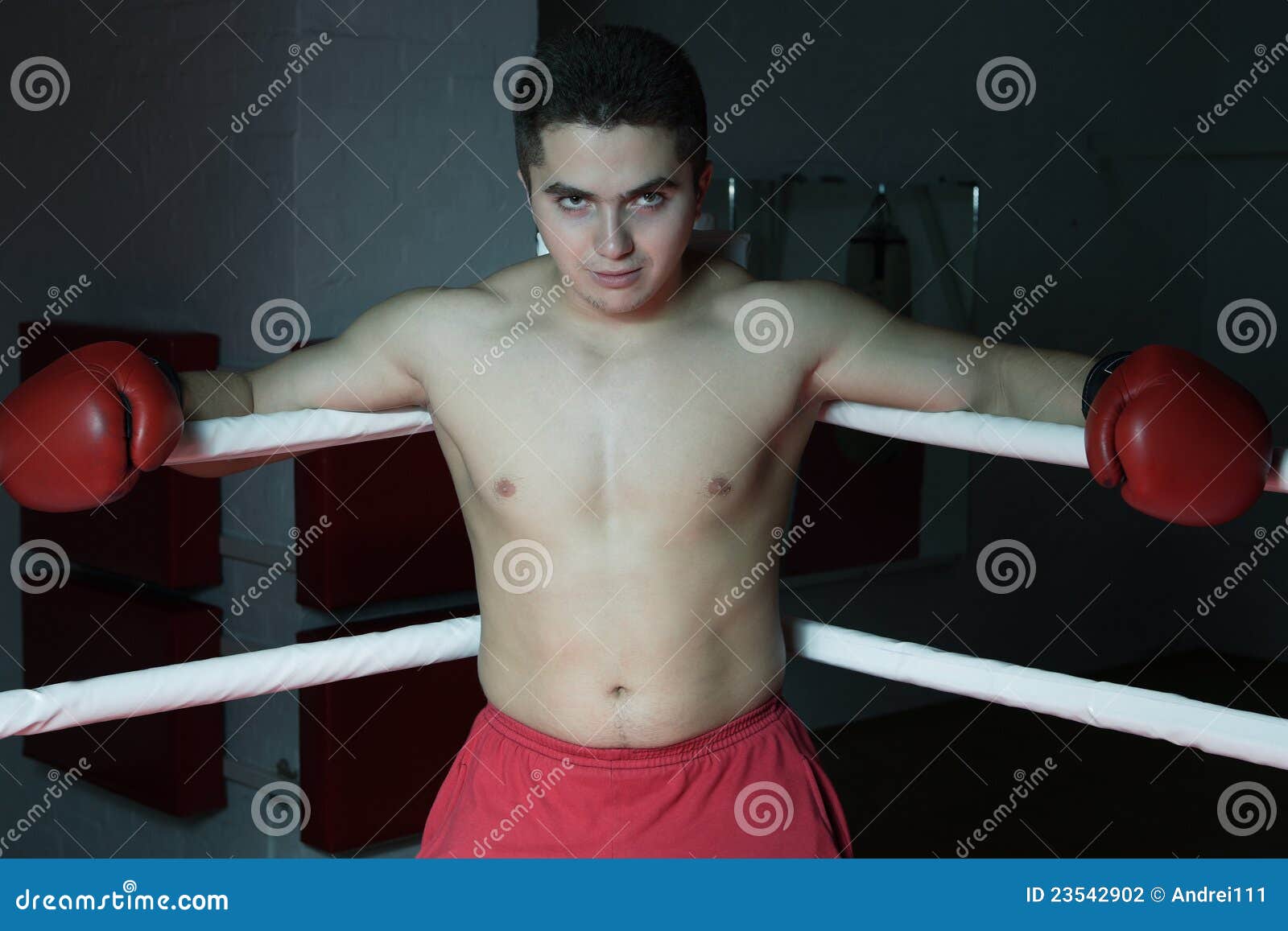 Boxer stockfoto. Bild von stärke, zorn, trainieren, gewalttätigkeit ...