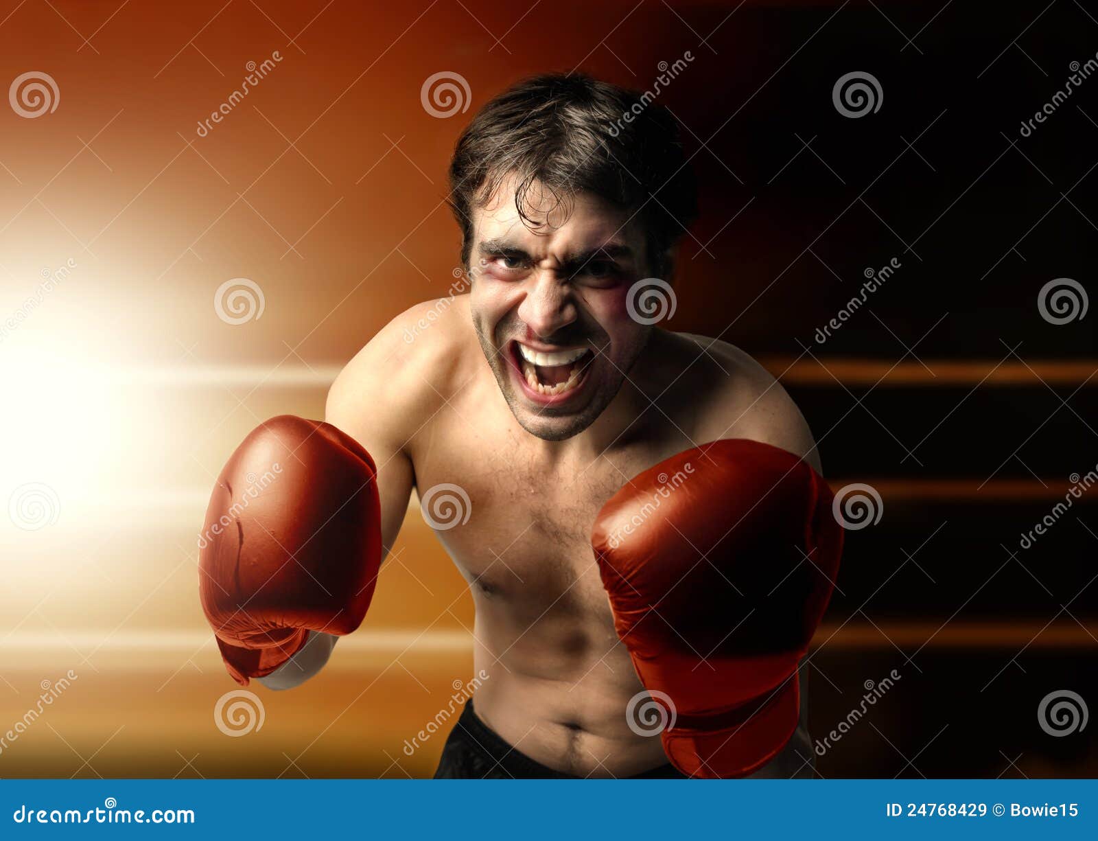 Boxer stock image. Image of resistance, teeth, portrait - 24768429