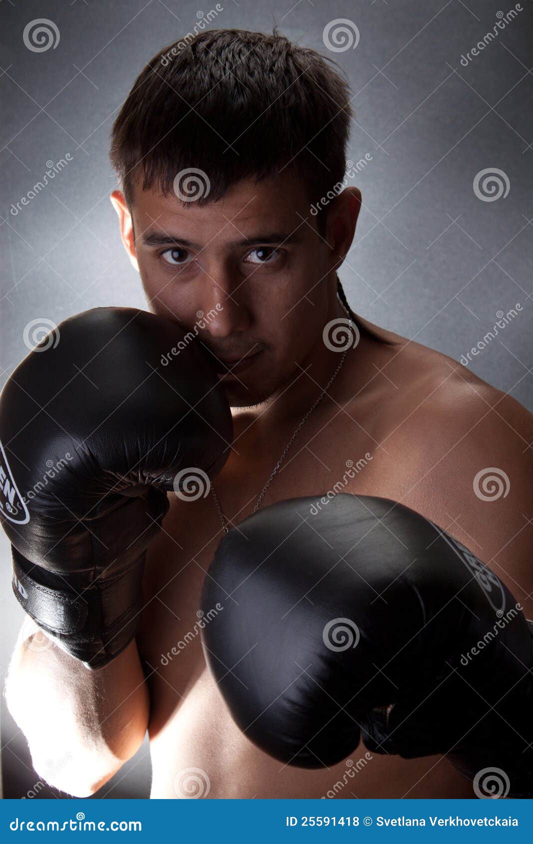 Boxer stock photo. Image of anger, combative, male, body - 25591418
