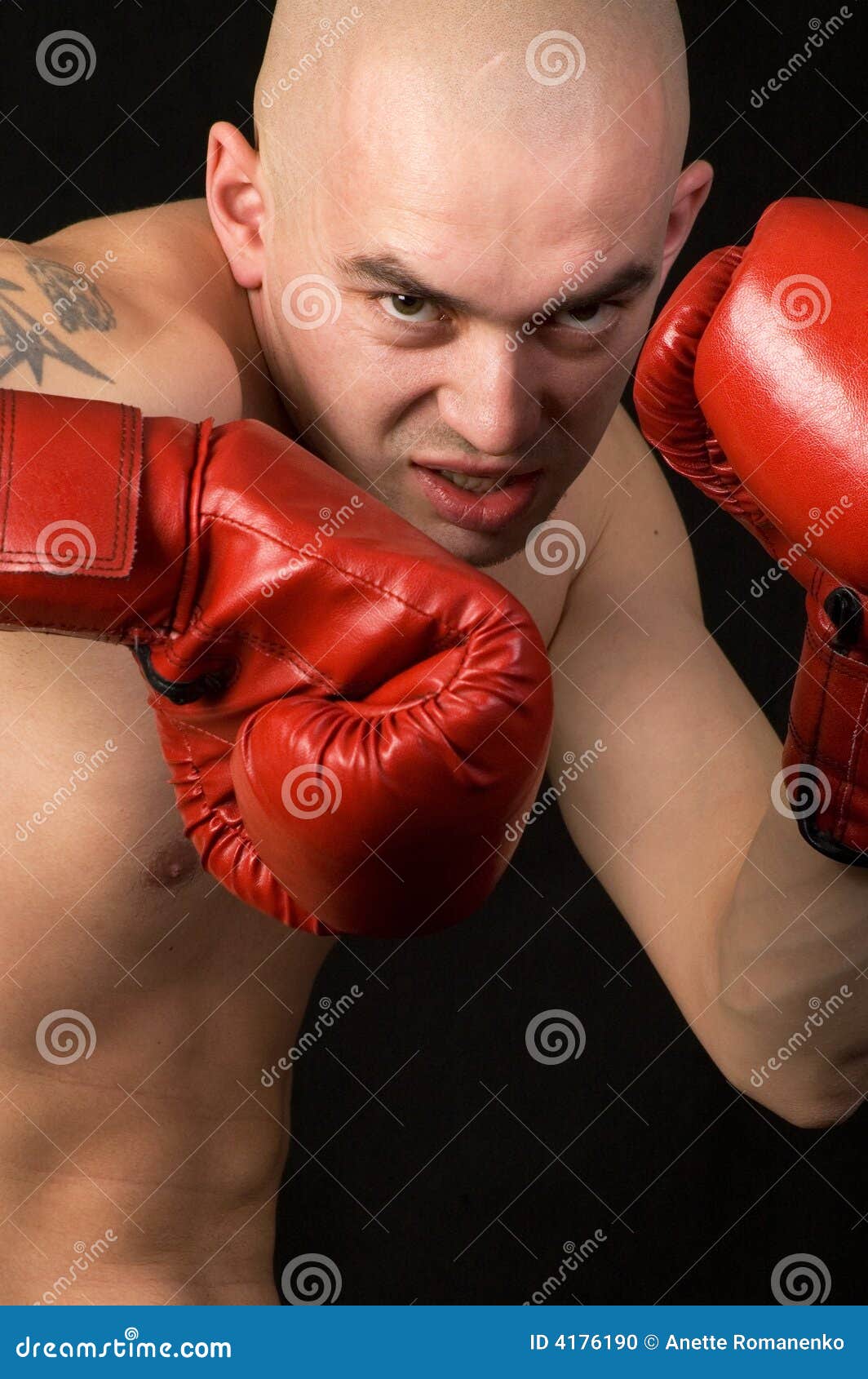 Portrait Bald Boxer Red Gloves Stock Photos - Free & Royalty-Free Stock ...