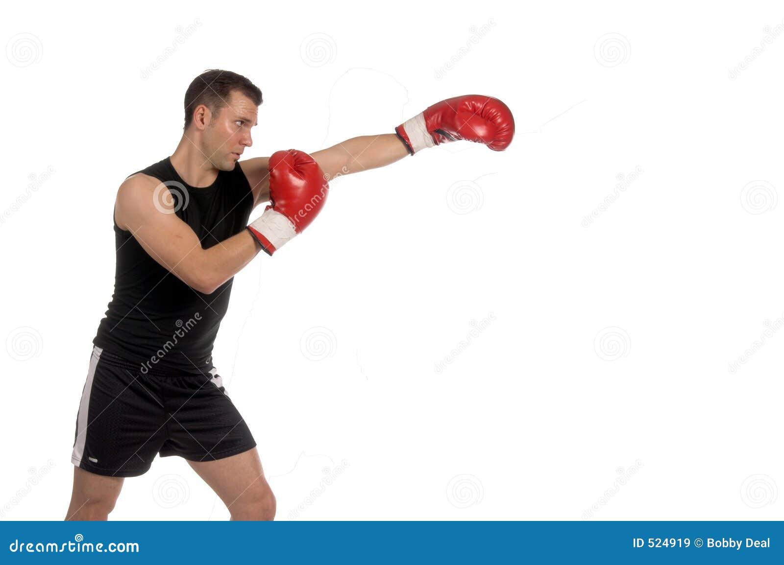 Boxer stock image. Image of isolation, workout, boxing - 524919