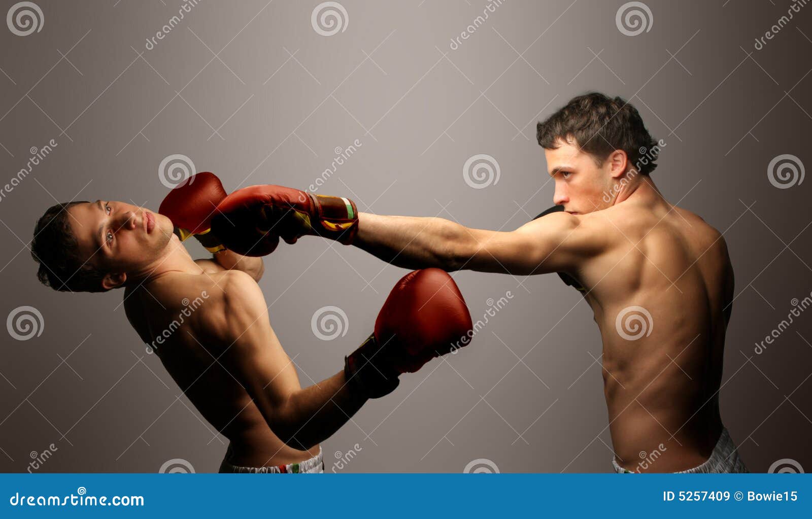 Boxer stock image. Image of tournament, combat, stopper - 5257409