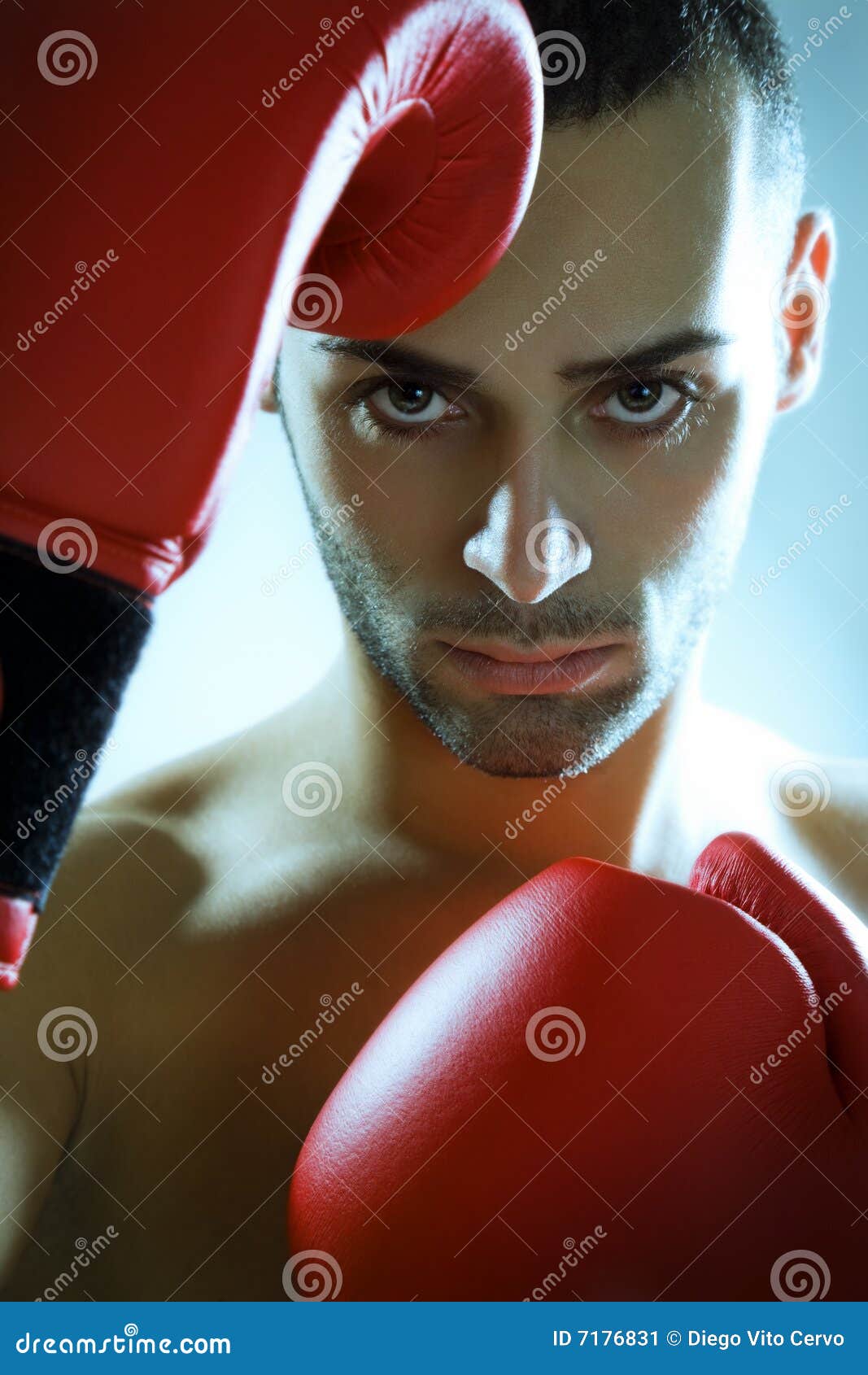 Boxer stock image. Image of combative, athlete, determination - 7176831