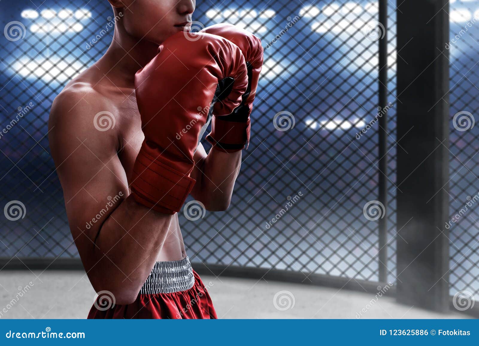 Boxer athlete in the ring stock photo. Image of cage - 123625886