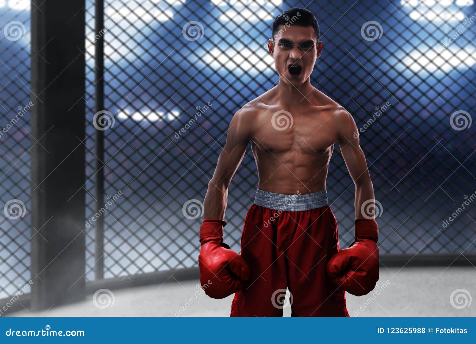 Boxer athlete in the ring stock photo. Image of combat - 123625988