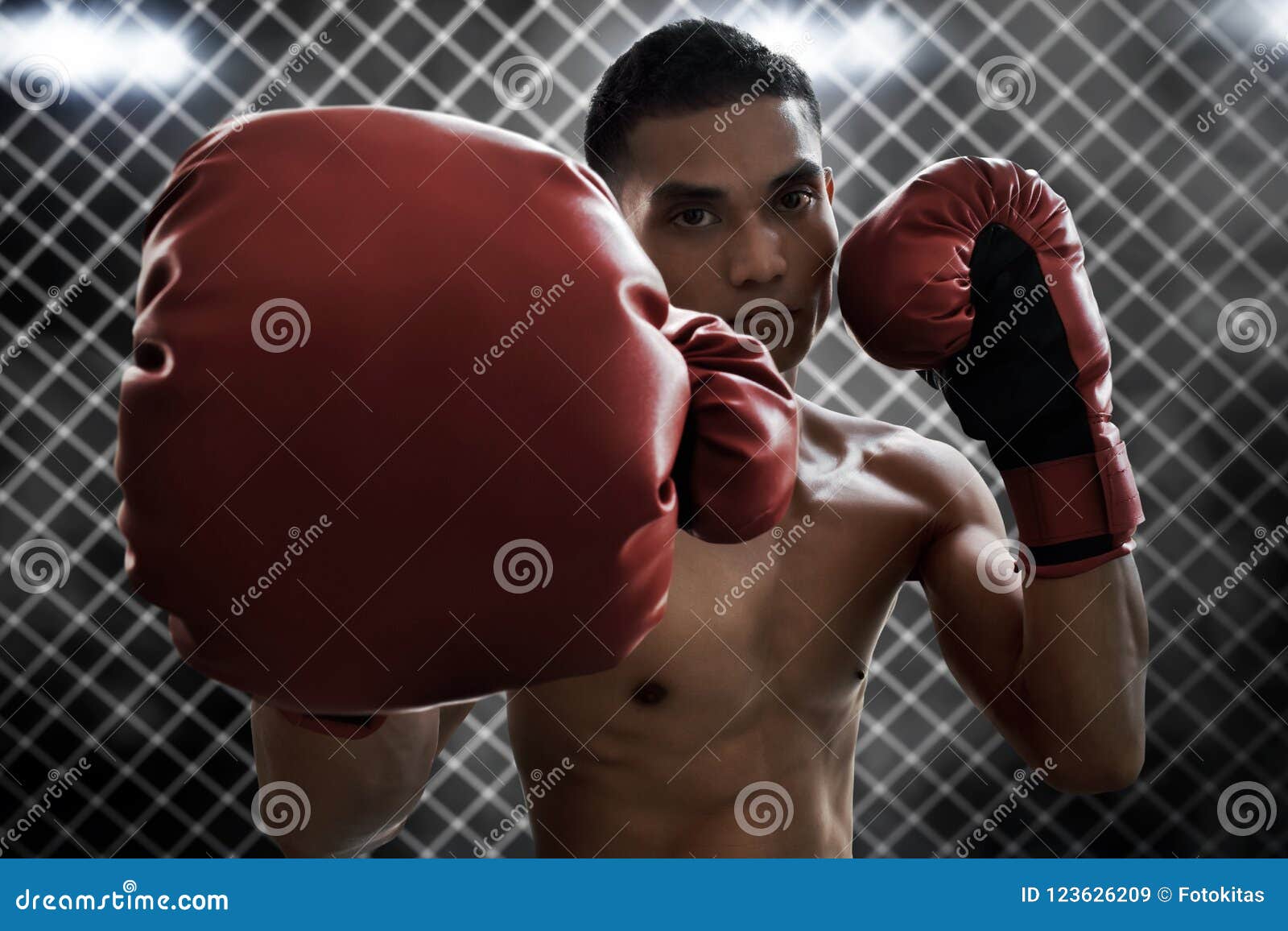 Boxer athlete in the ring stock image. Image of fighter - 123626209