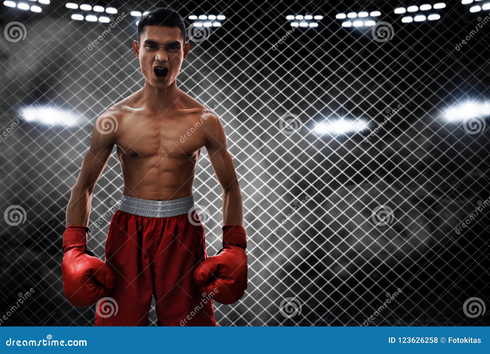 Boxer athlete in the ring stock photo. Image of boxing - 123626258