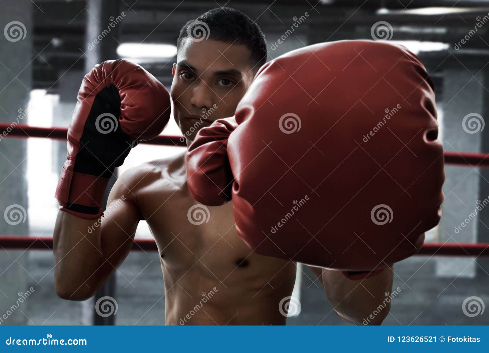 Boxer Athlete Training in the Gym Stock Image - Image of concept ...